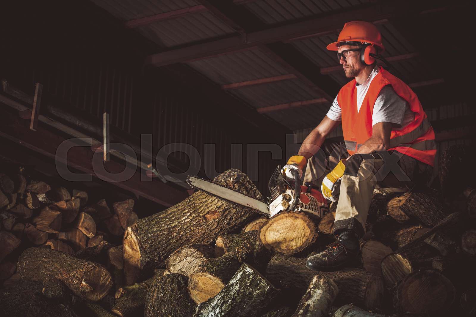 Wood Cutting Work | Stock image | Colourbox