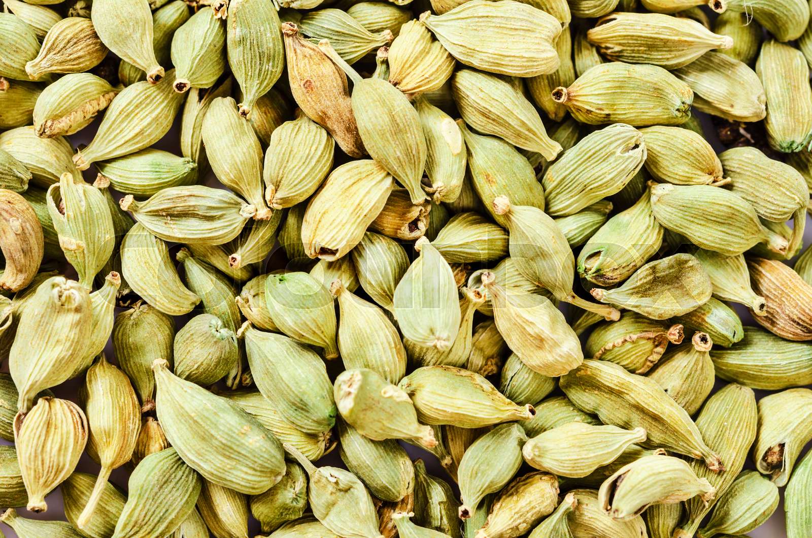 green cardamon seeds. | Stock image | Colourbox