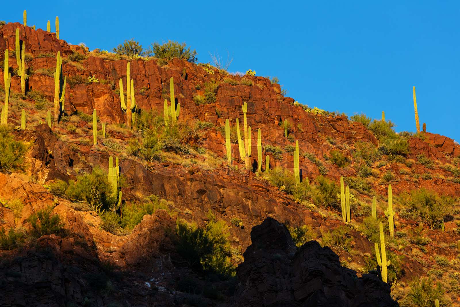 Arizona landscapes | Stock image | Colourbox