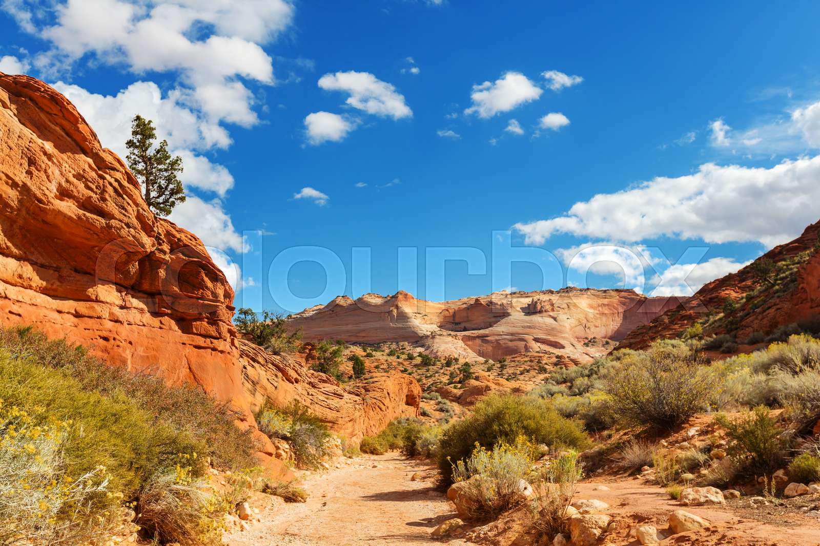 Utah landscapes | Stock image | Colourbox