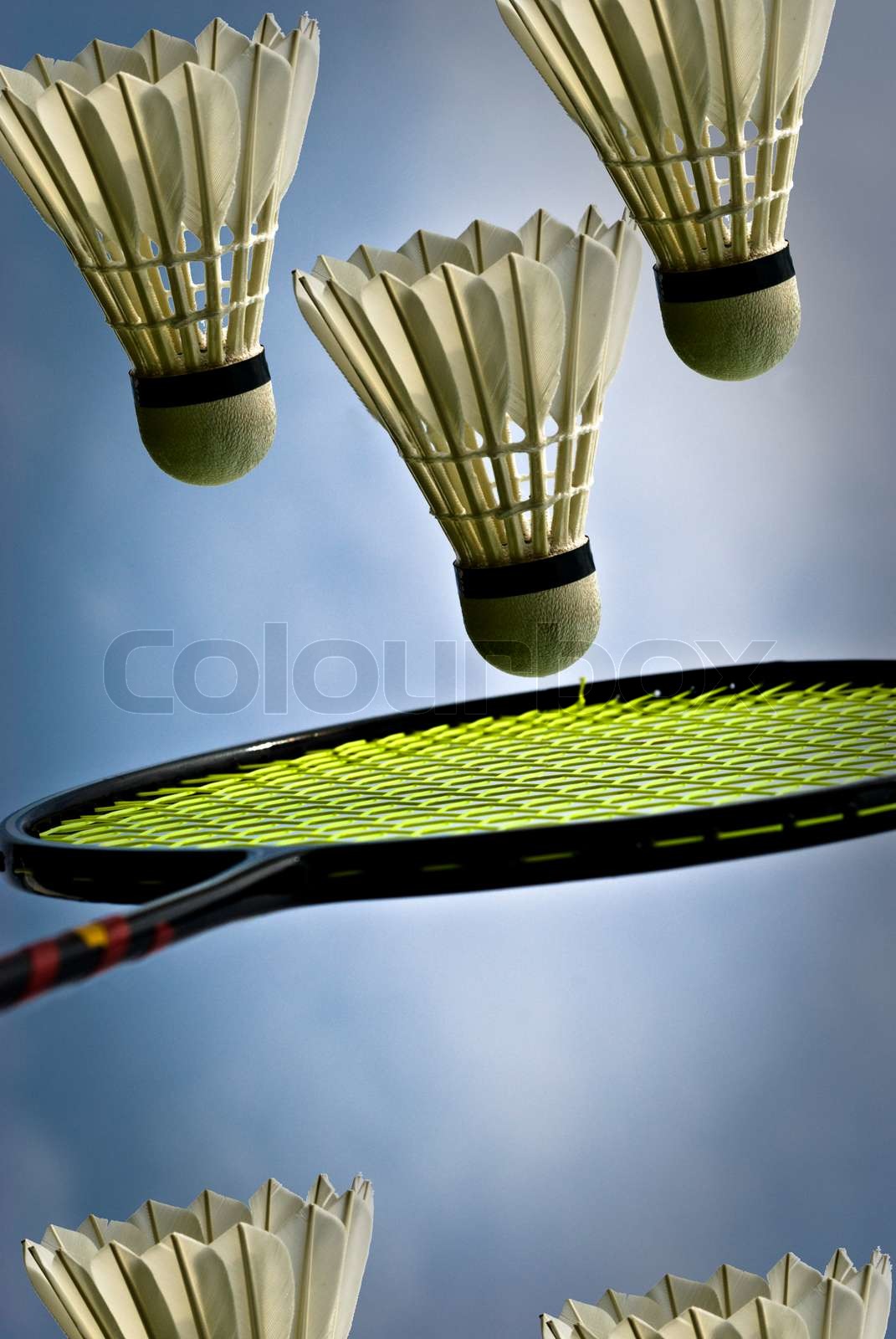 Badminton | Stock image | Colourbox
