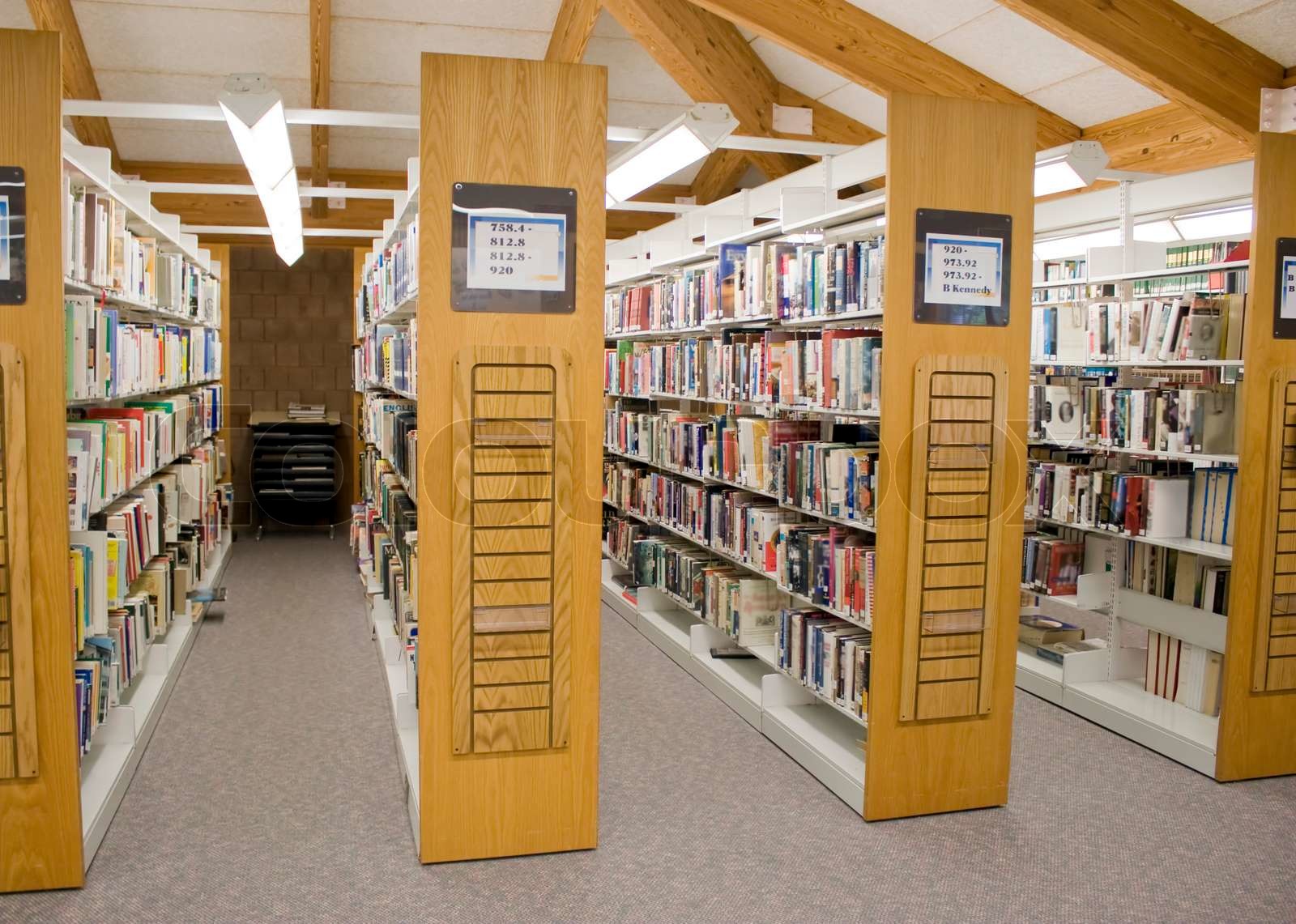 The aisles in a public library with shelves full of books | Stock image ...
