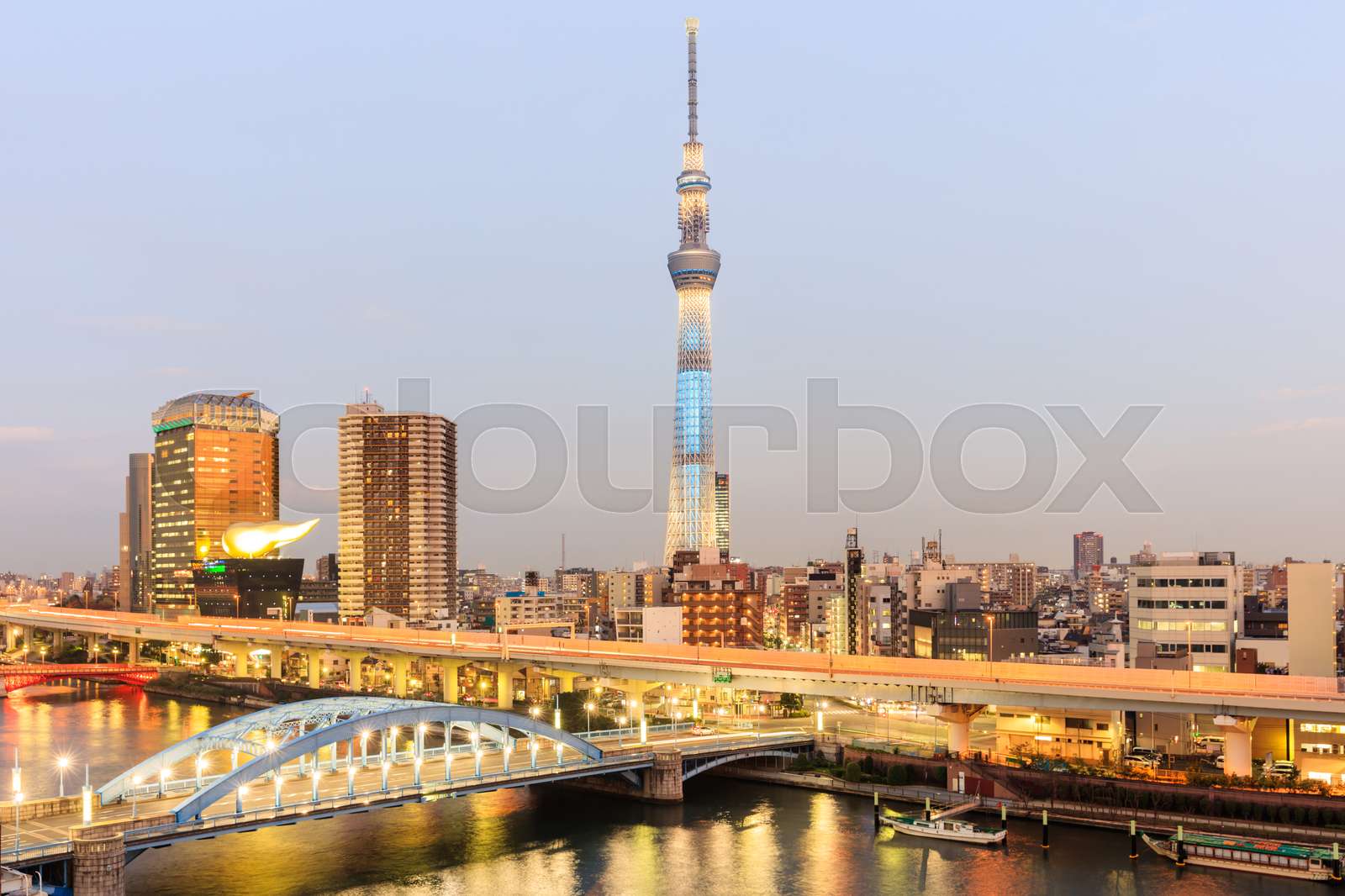 Toyko sky tree in night scene | Stock image | Colourbox
