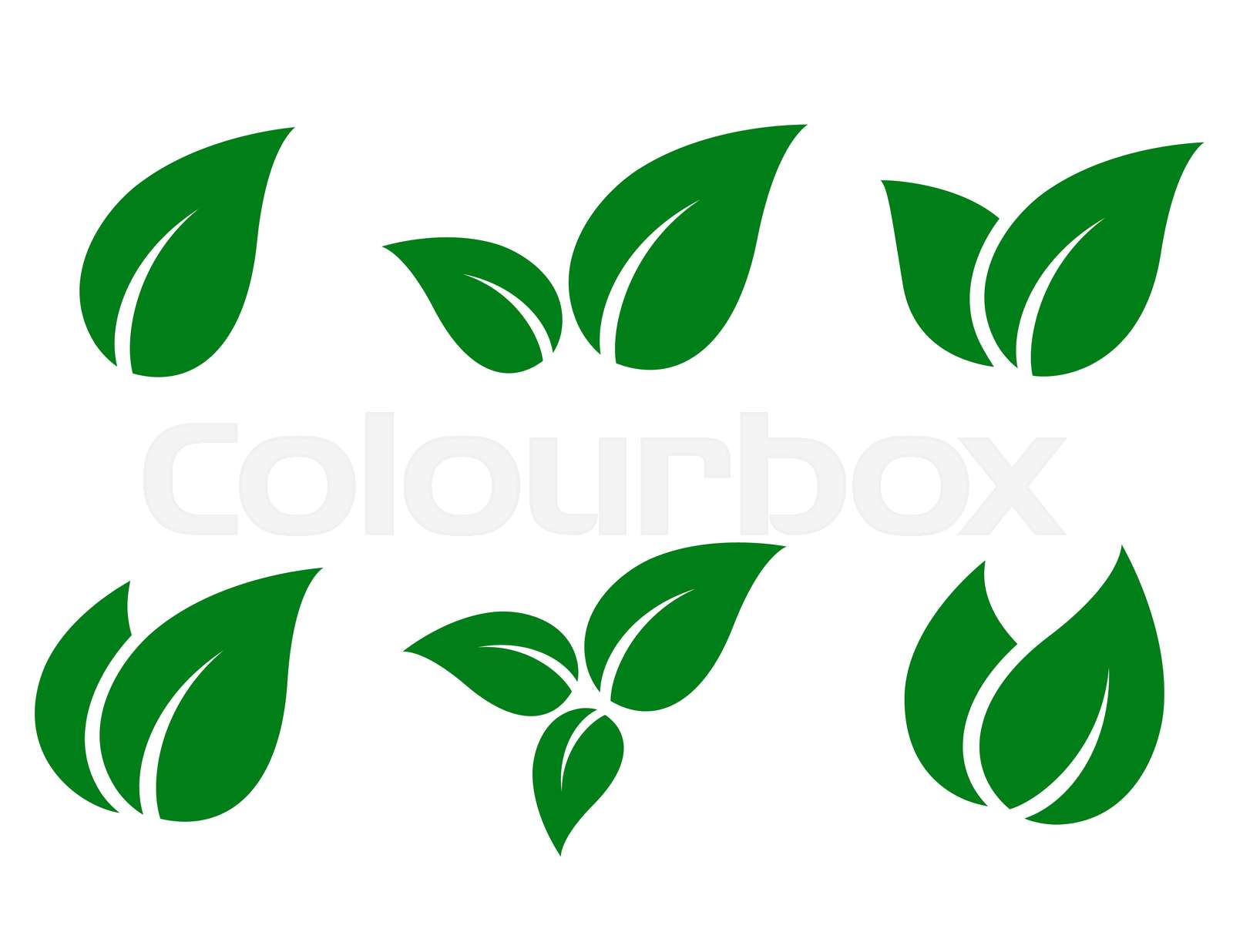 green leaves icon set | Stock vector | Colourbox