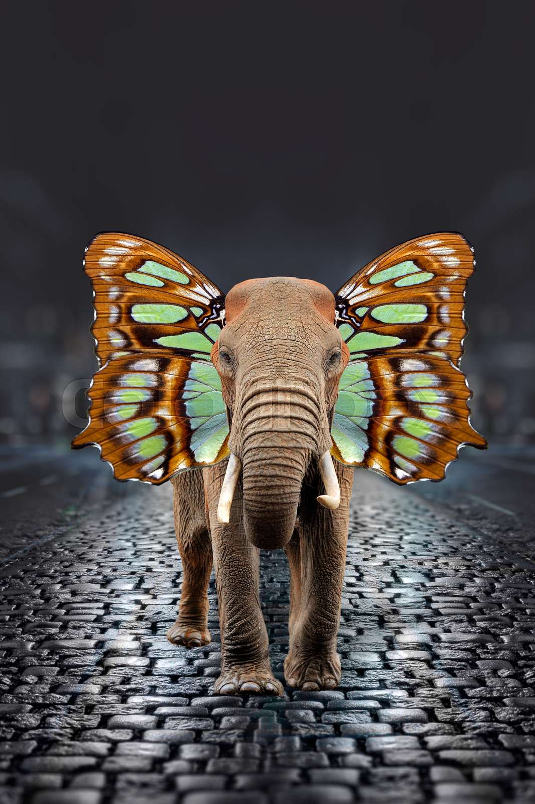Elephant with butterfly wings | Stock image | Colourbox