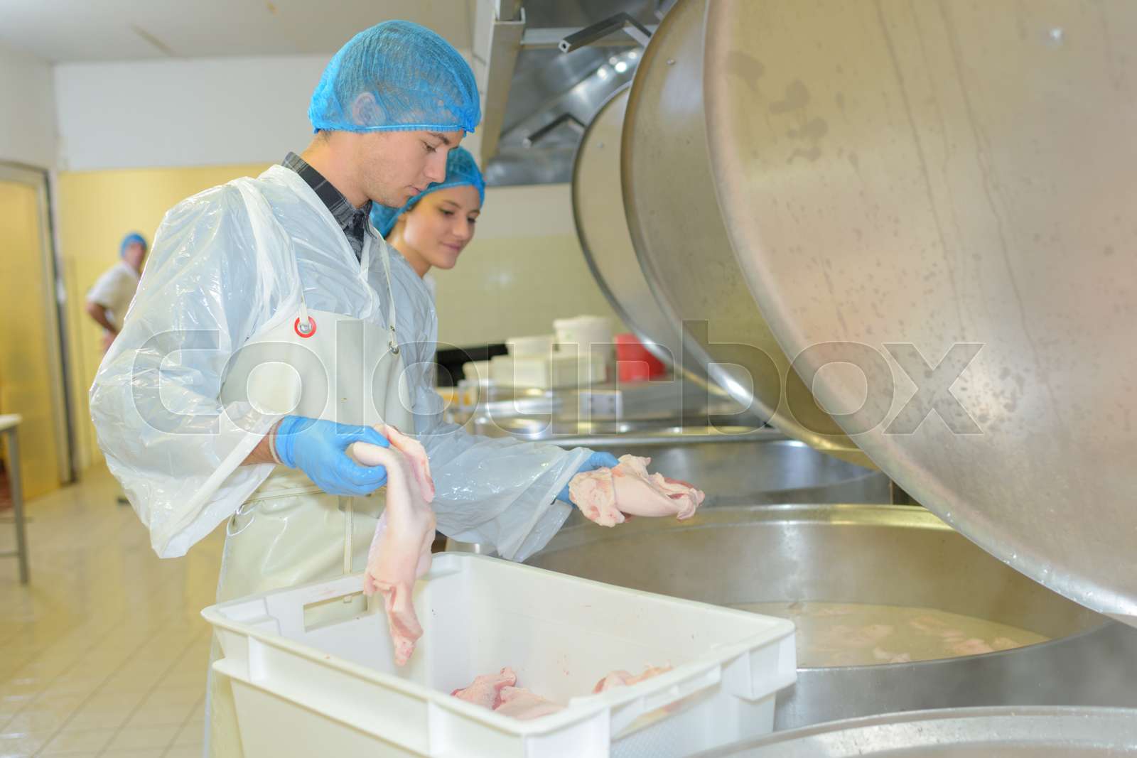 Factory operative dropping chickens into a vat | Stock image | Colourbox