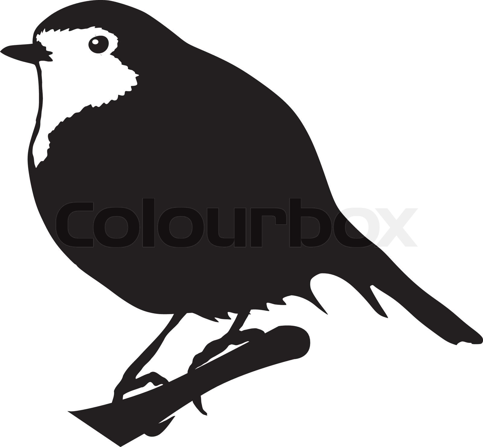 Robin | Stock vector | Colourbox