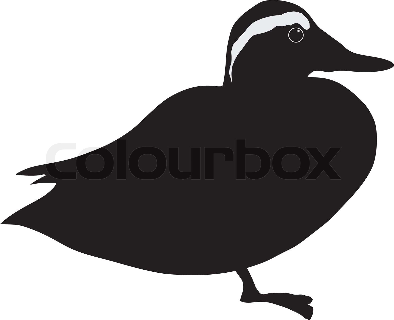 silhouette of garganey | Stock vector | Colourbox