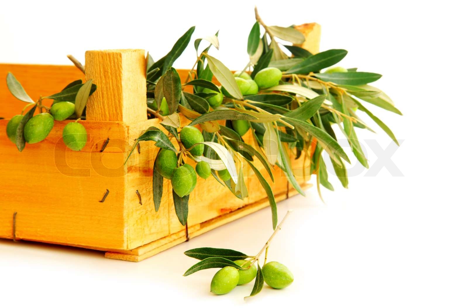 Frische grüne Oliven isoliert auf weißem Hintergrund | Stock Bild ...