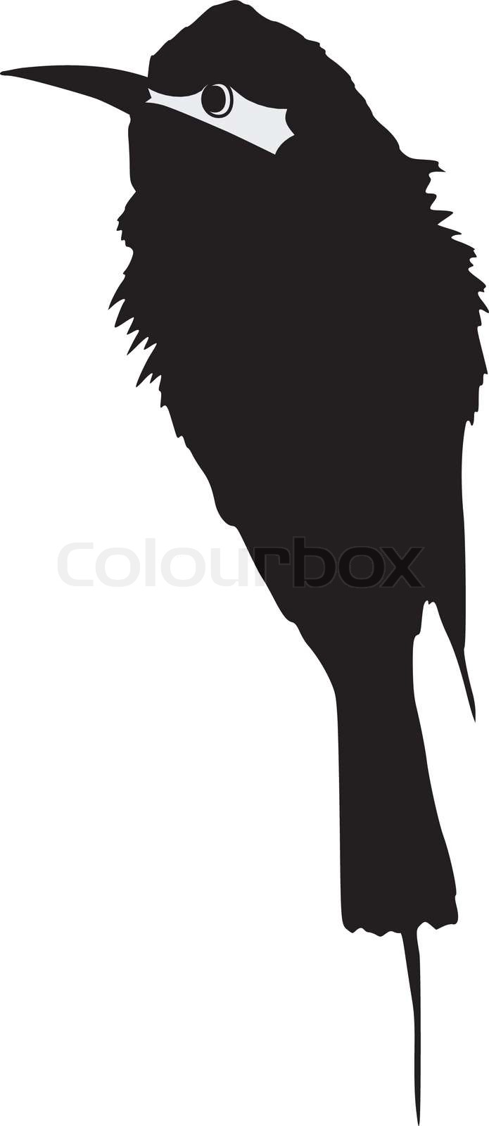 Bee-eater | Stock vector | Colourbox