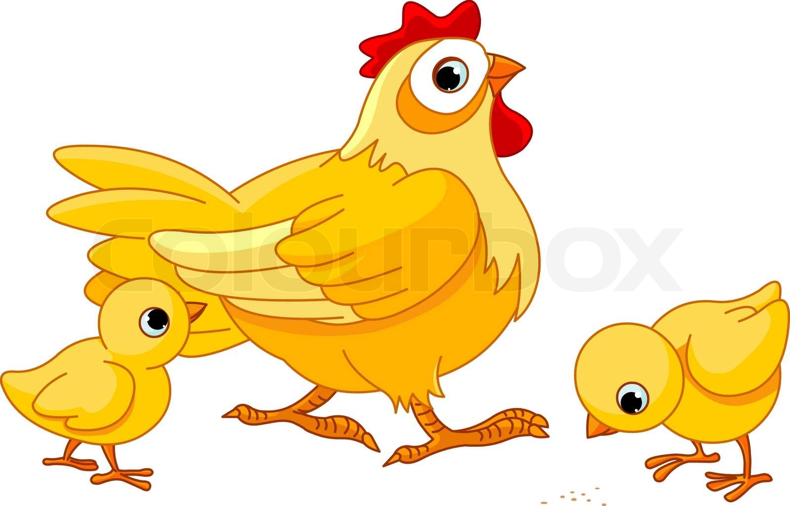 Mother hen with its baby chicks | Stock vector | Colourbox