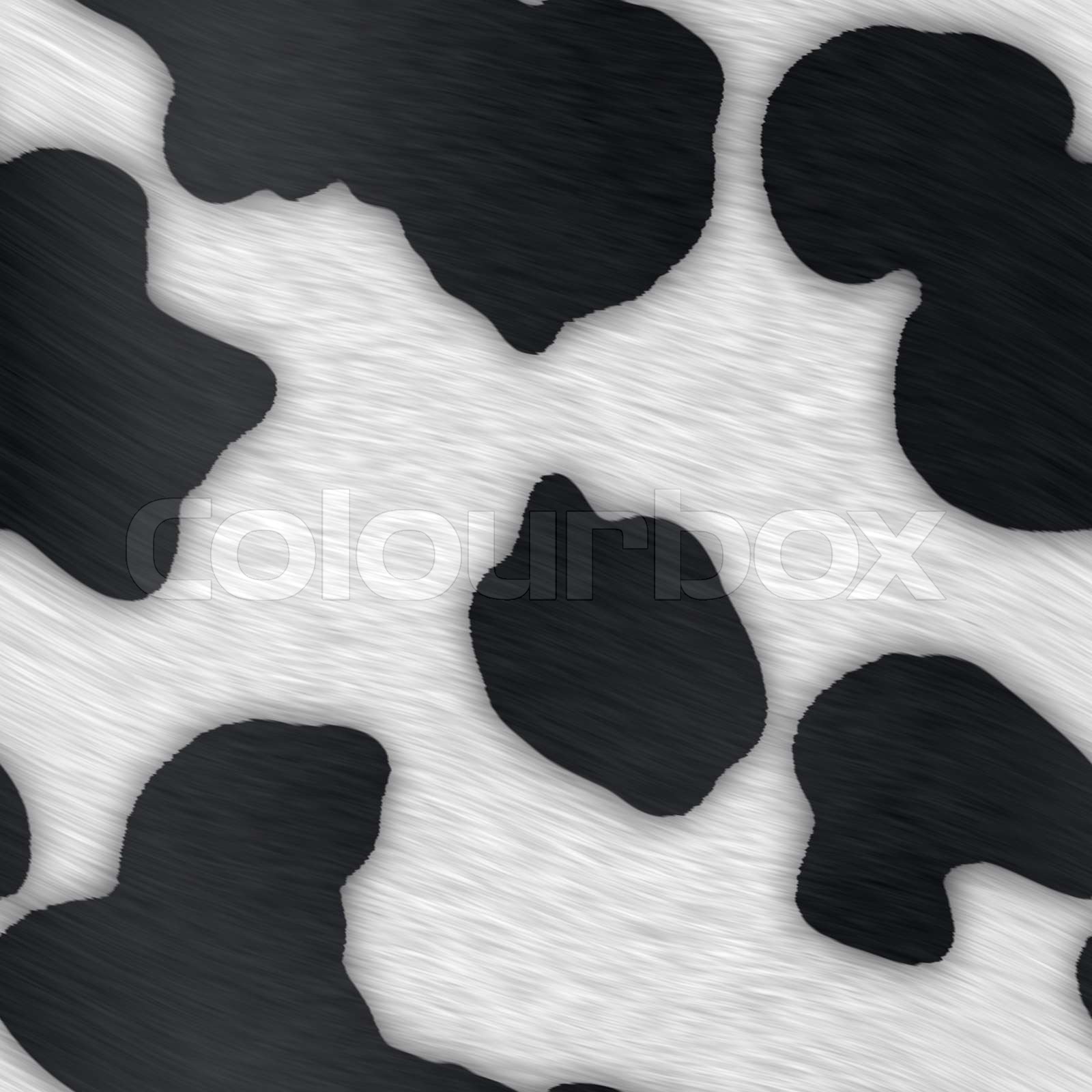 The natural pattern of a common black and white dairy cow - this ...