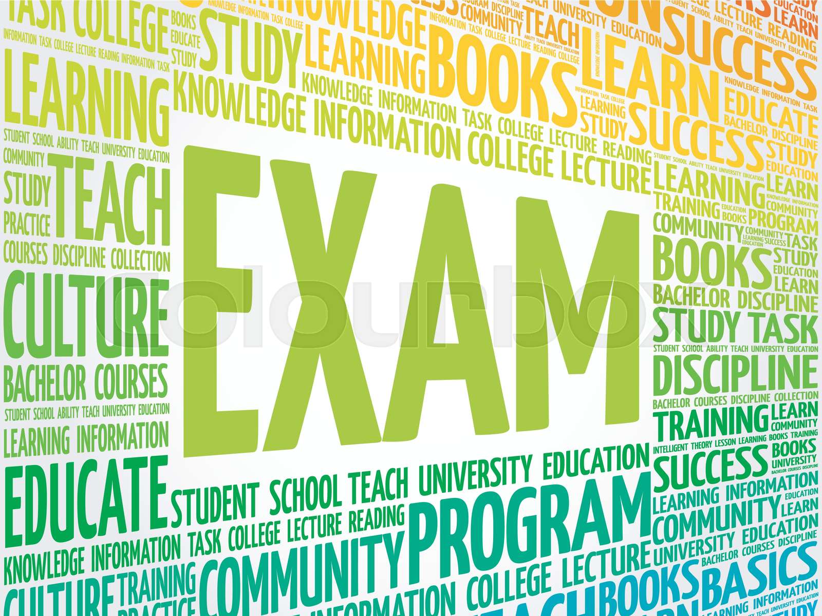 EXAM word cloud | Stock vector | Colourbox