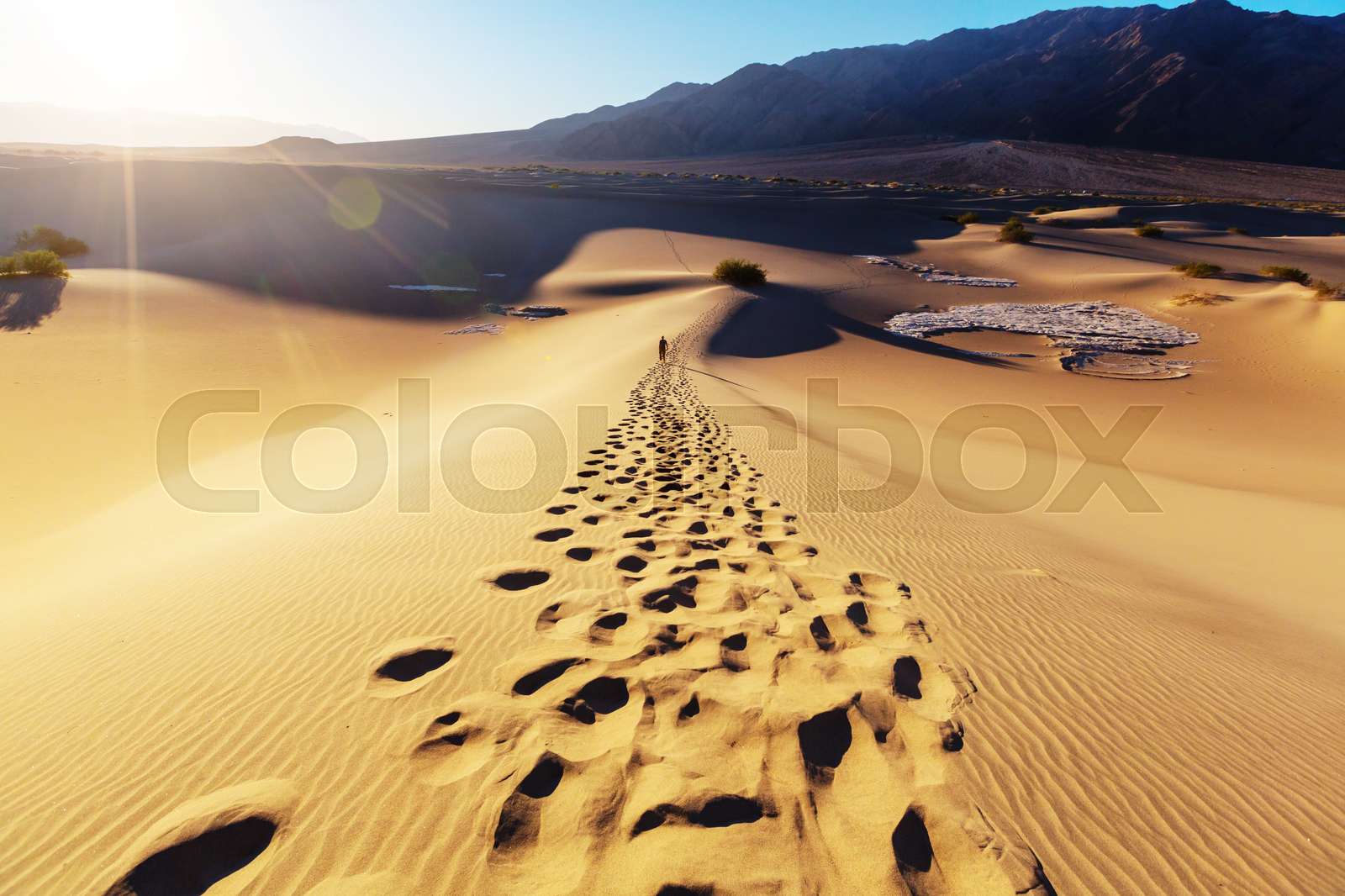 Hike in desert | Stock image | Colourbox