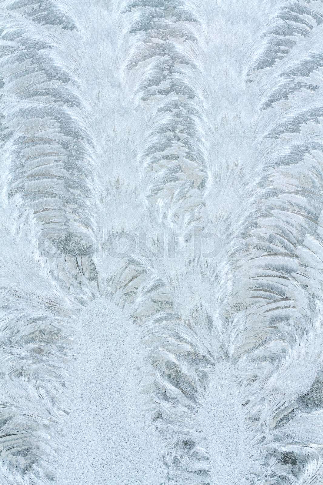 Frosty patterns on the window. | Stock image | Colourbox