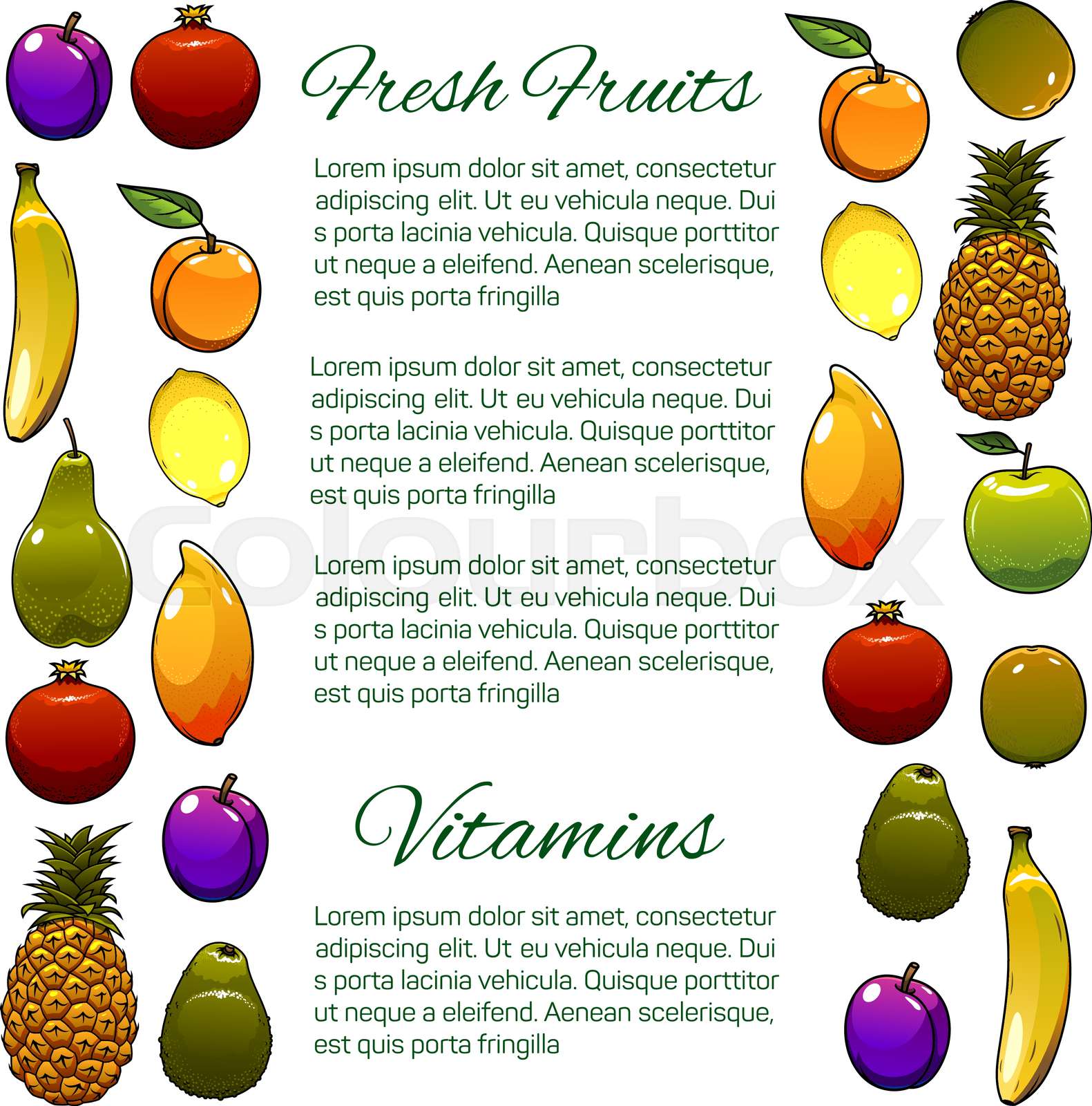 Fruit vector banner of fresh fruits | Stock vector | Colourbox