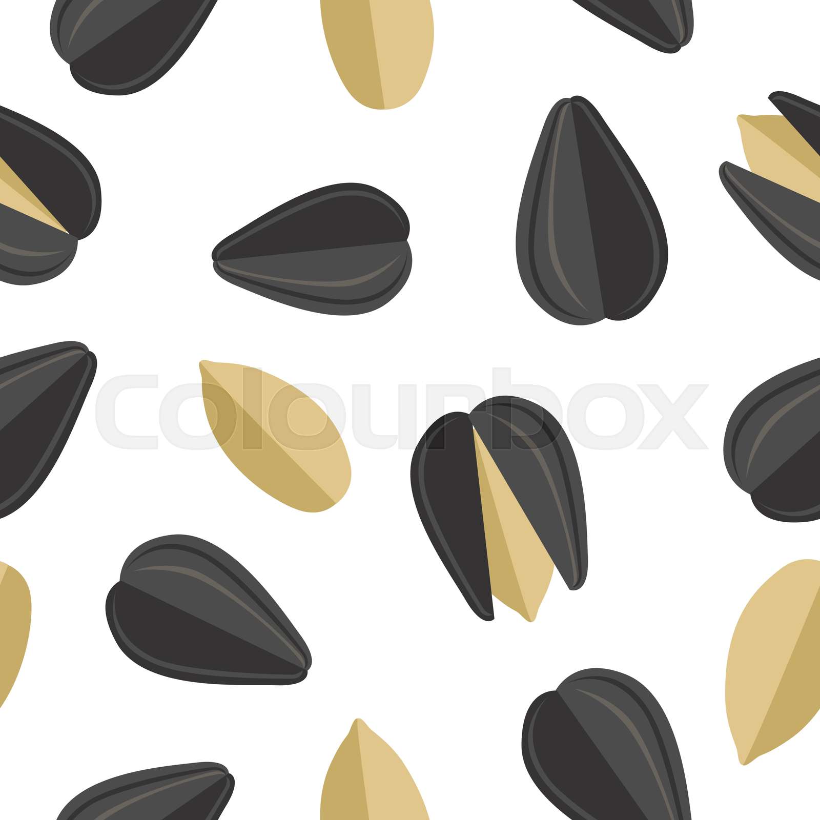 Sunflower Seeds Seamless Pattern | Stock vector | Colourbox