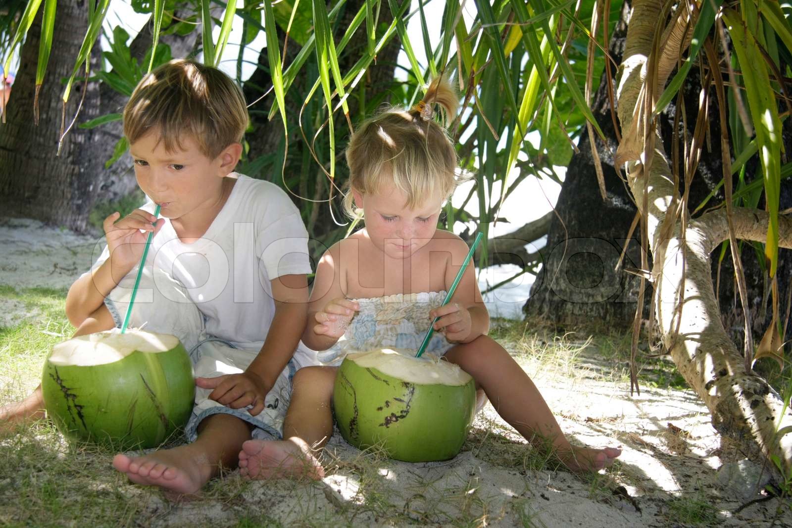 two children with coconuts | Stock image | Colourbox