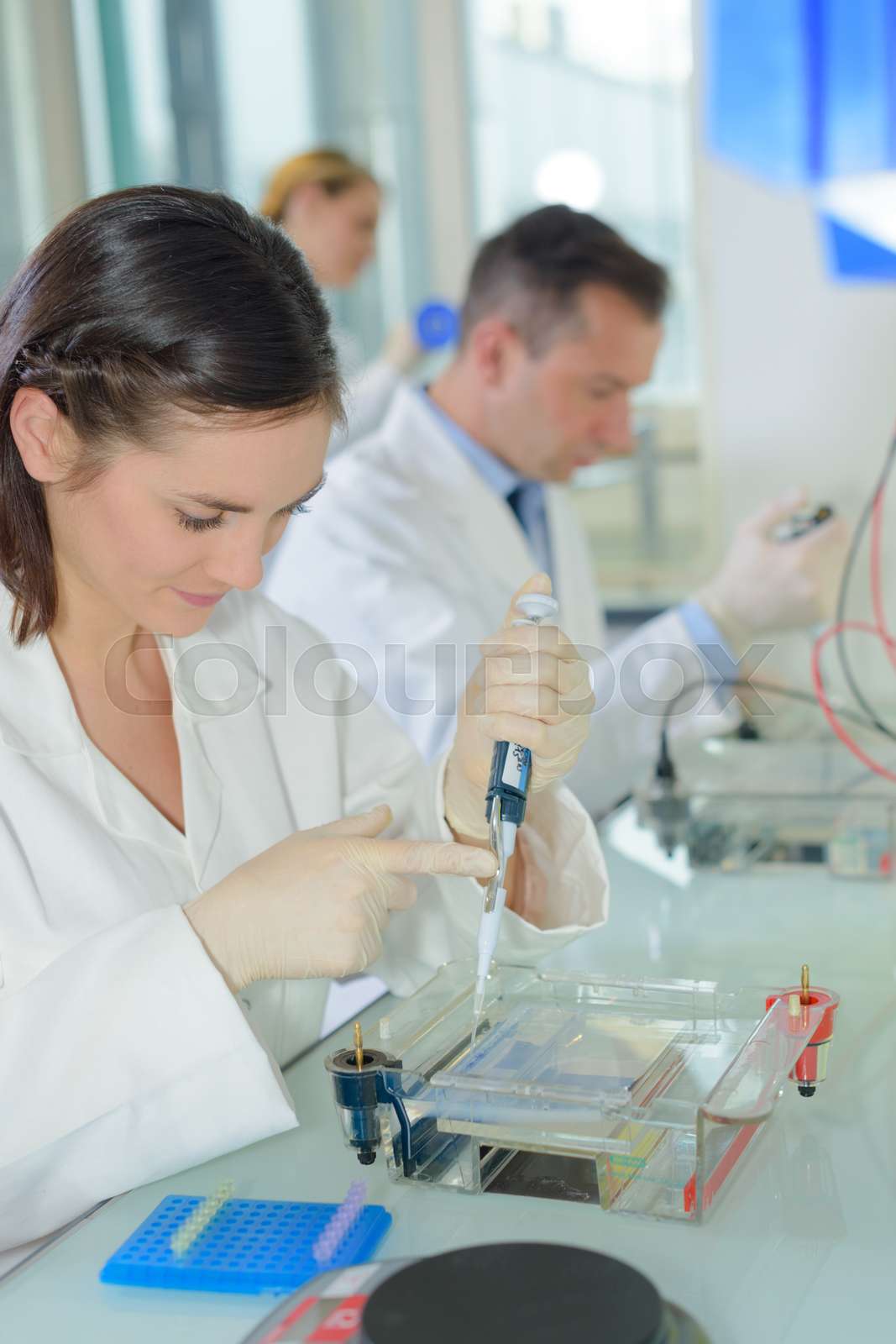 Laboratory technician using a pipette | Stock image | Colourbox