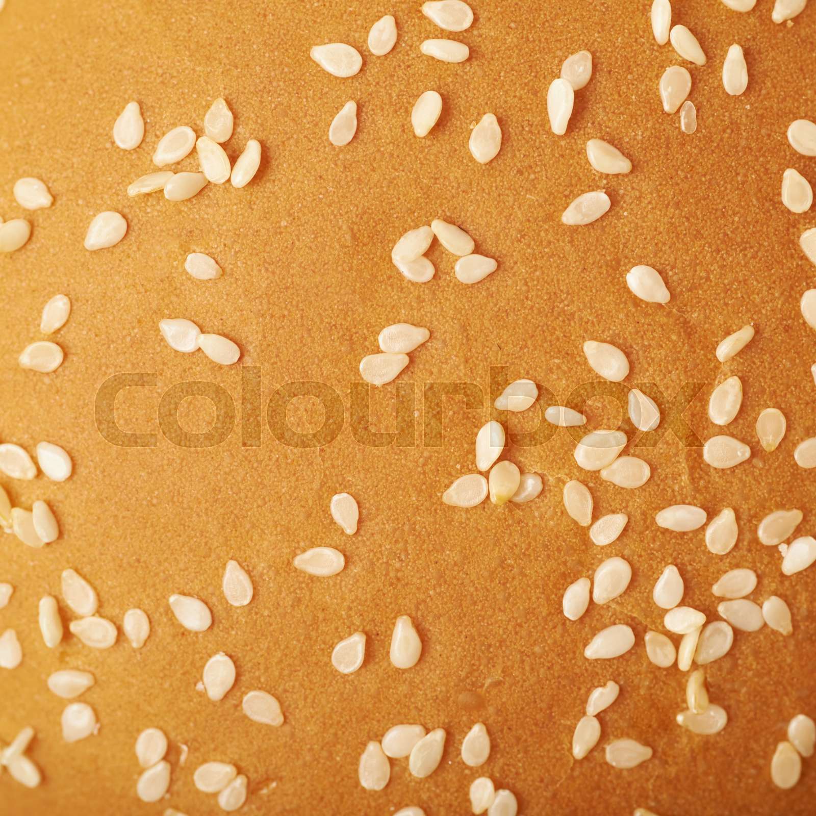 Burger bun texture fragment | Stock image | Colourbox