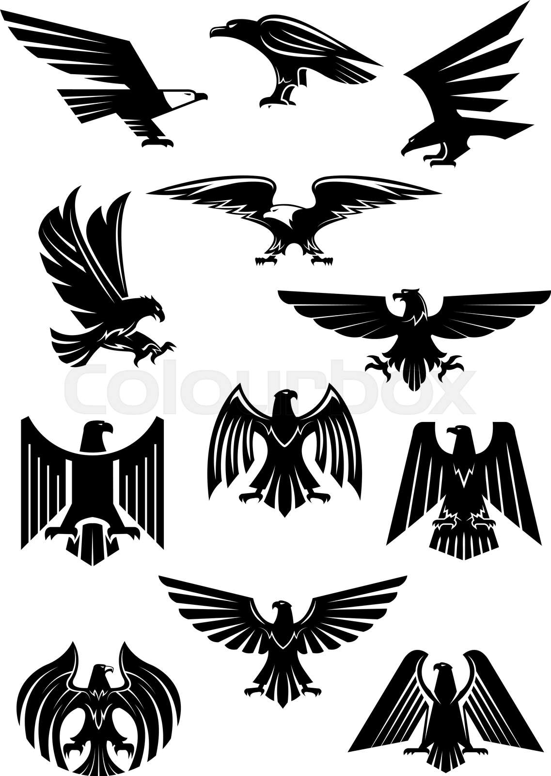 Eagle or falcon, aquila or hawk heraldic badge | Stock vector | Colourbox