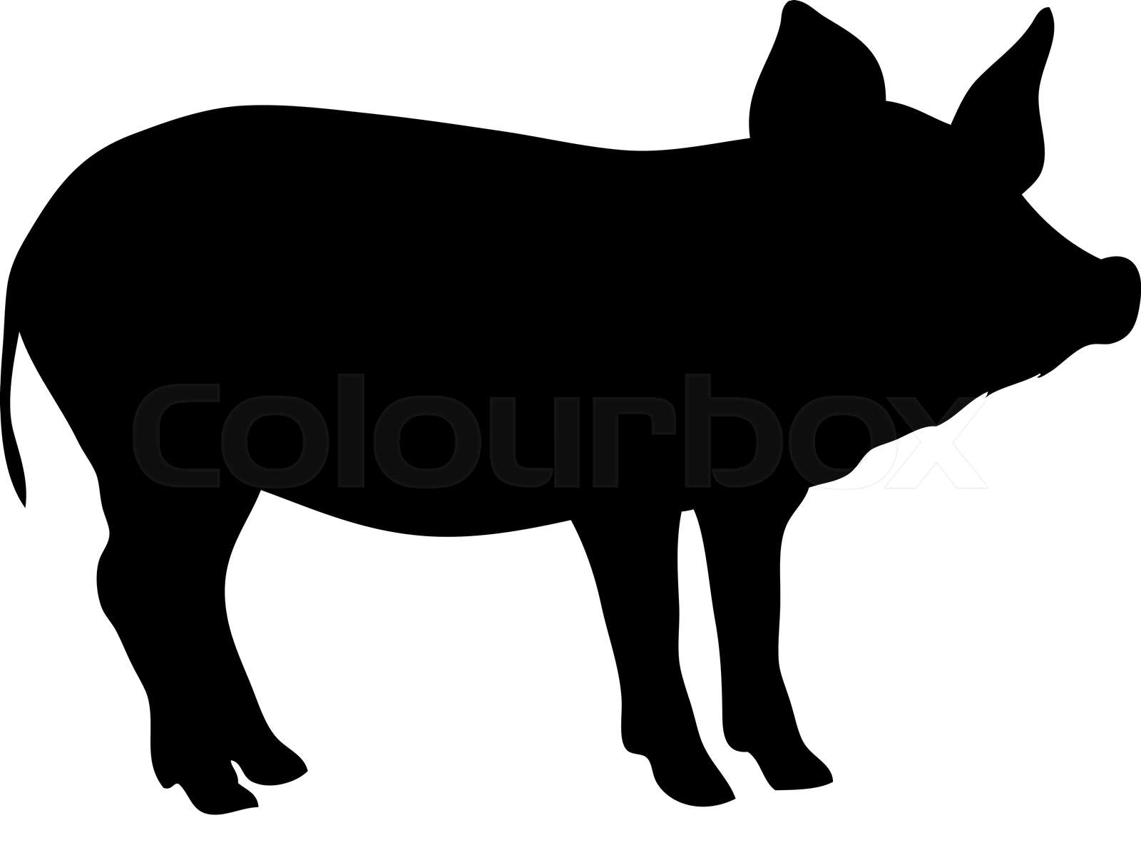 silhouette pig | Stock vector | Colourbox