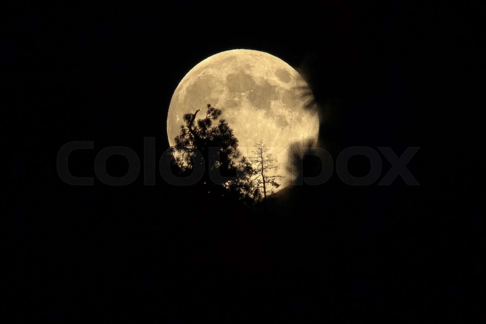 Full moon rising | Stock image | Colourbox