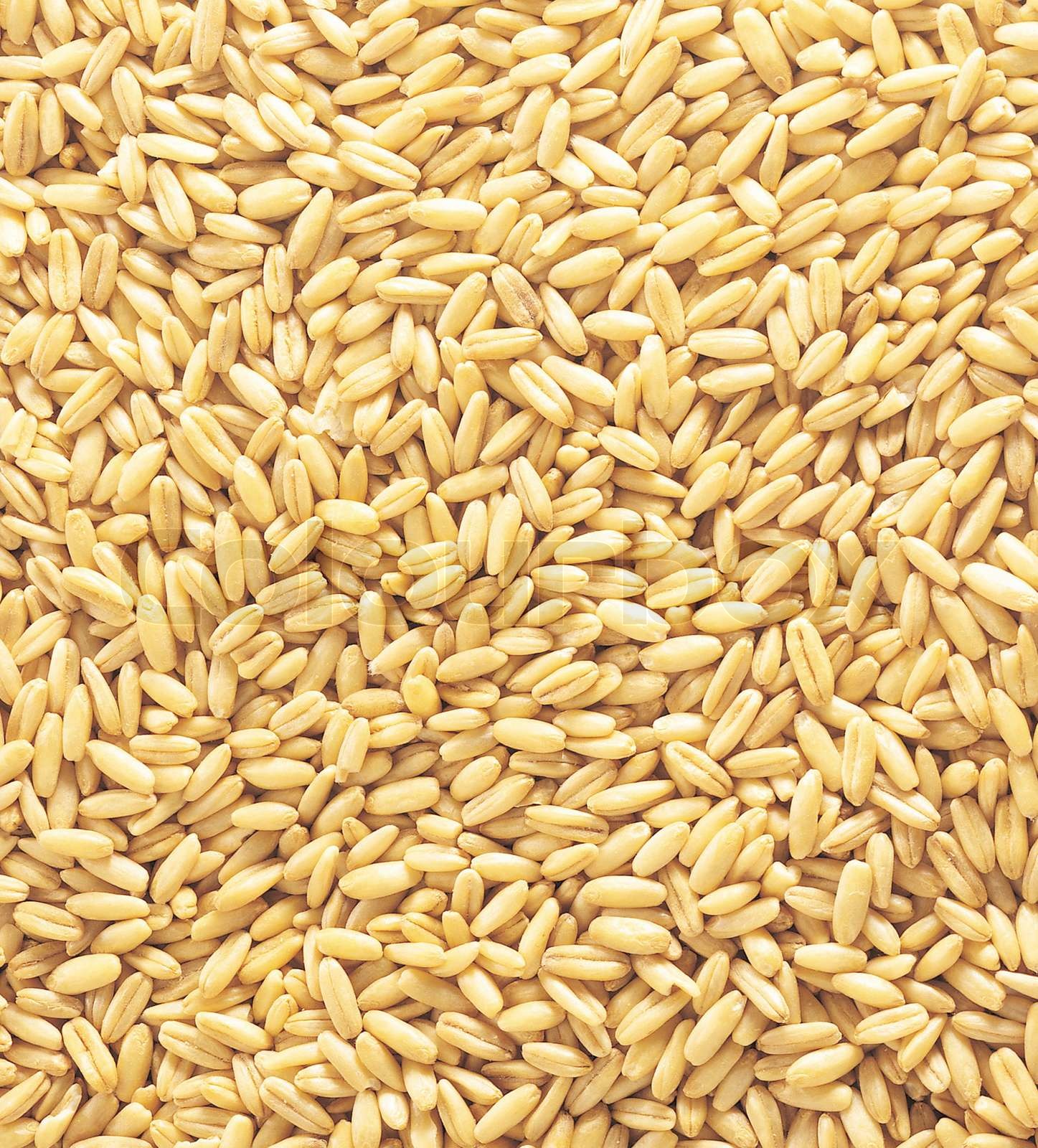 natürlichen Hafer Hintergrund | Stock Bild | Colourbox