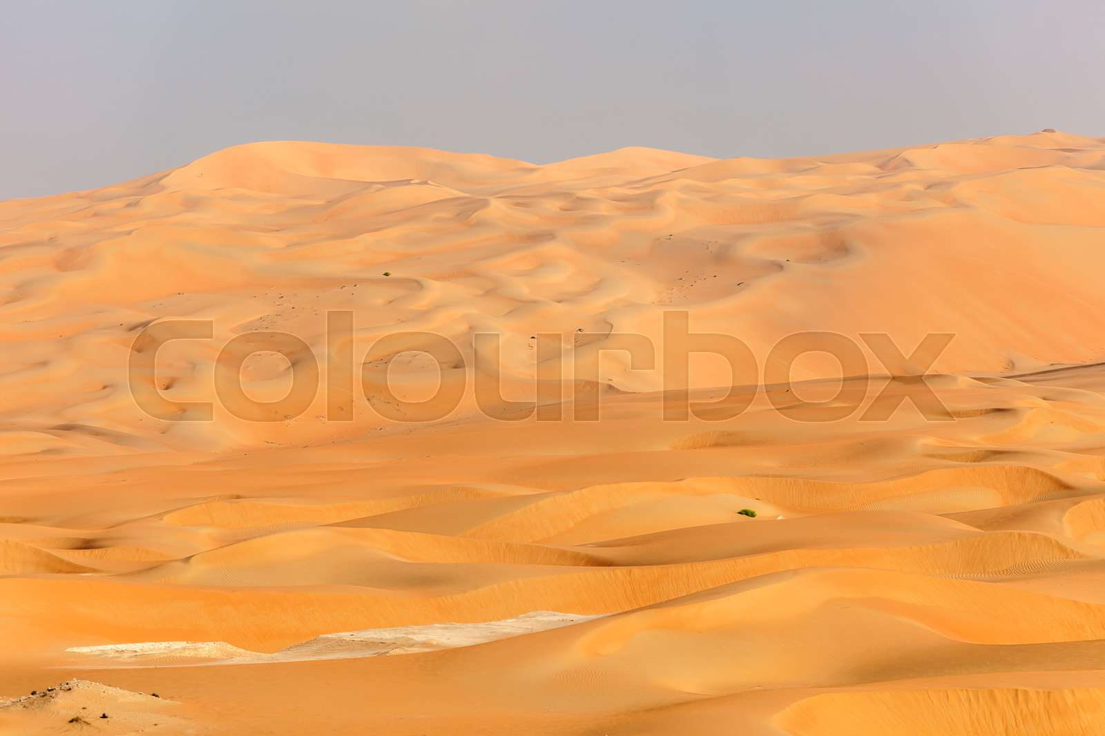 Dunes in the Liwa Oasis, UAE | Stock image | Colourbox