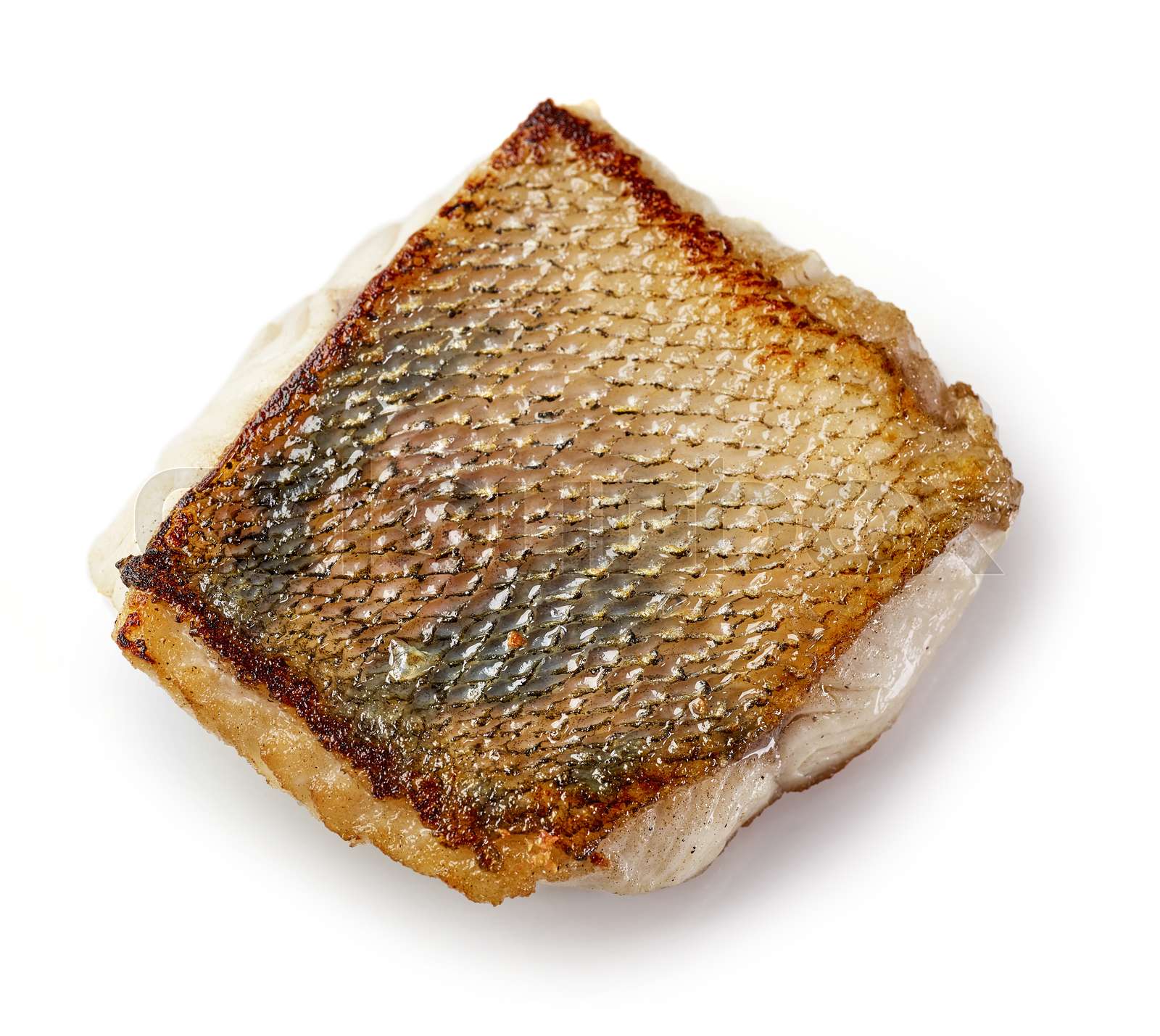 fried pike perch fillet | Stock image | Colourbox