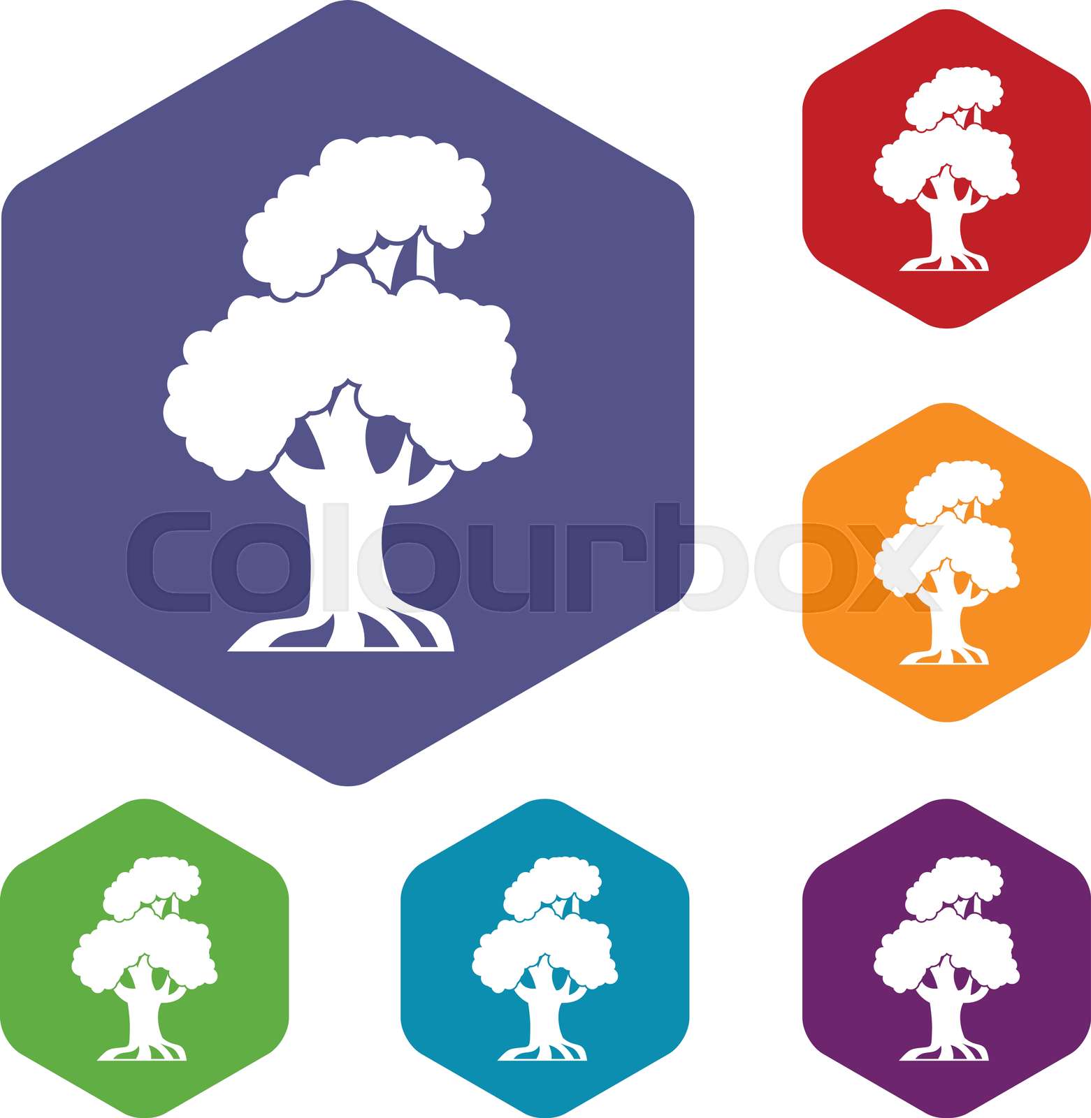 Oak icons set | Stock vector | Colourbox