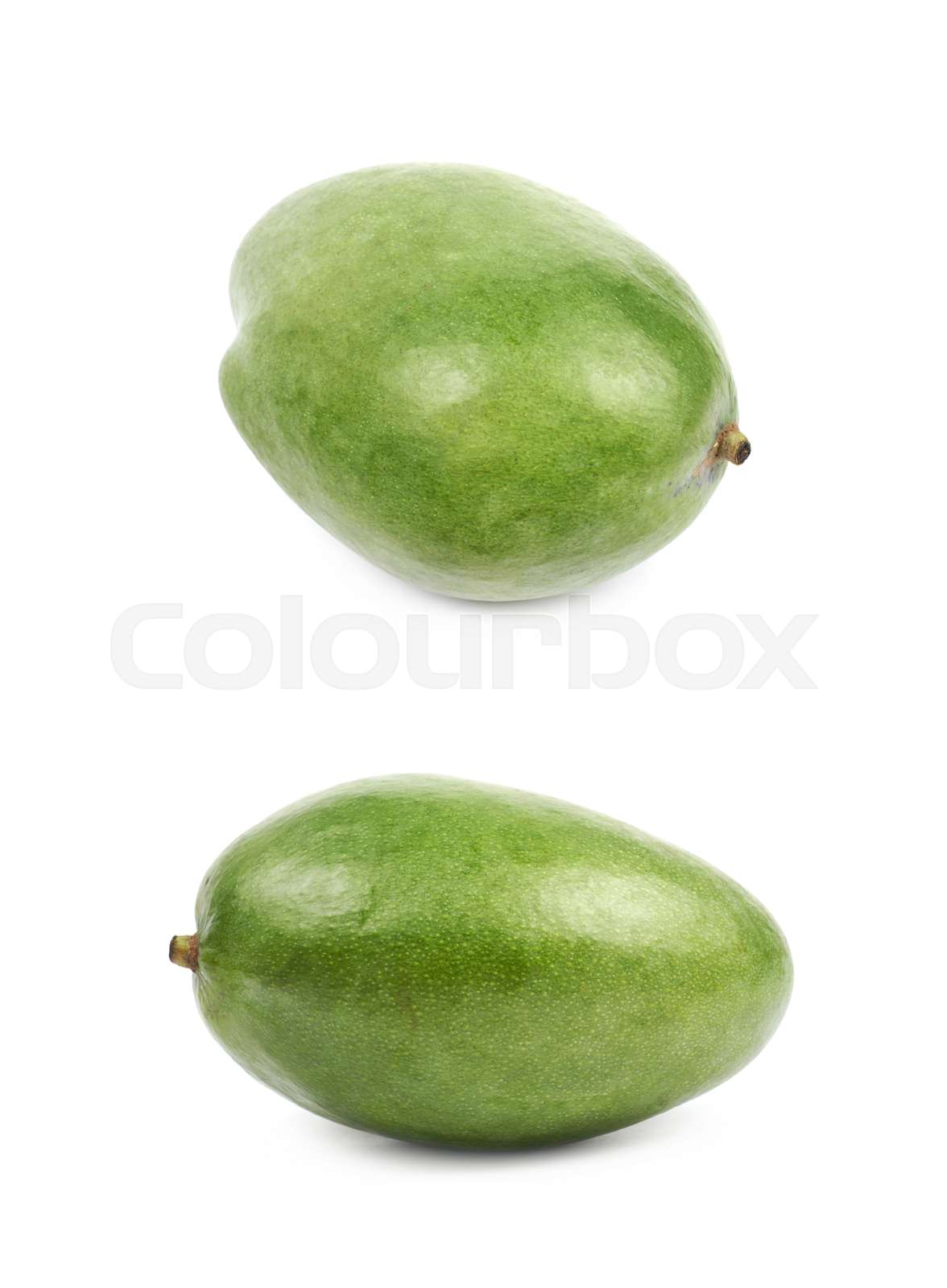 Ripe green mango fruit isolated | Stock image | Colourbox