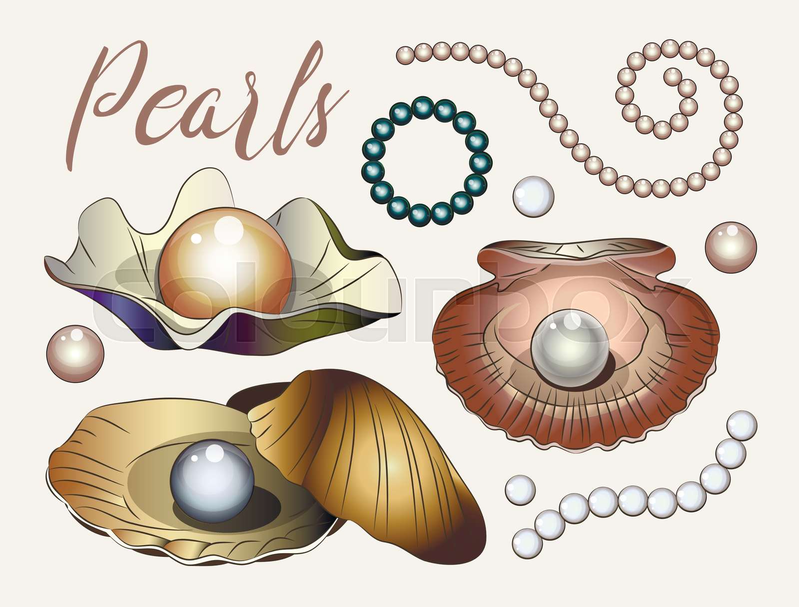 Pearls vector set | Stock vector | Colourbox