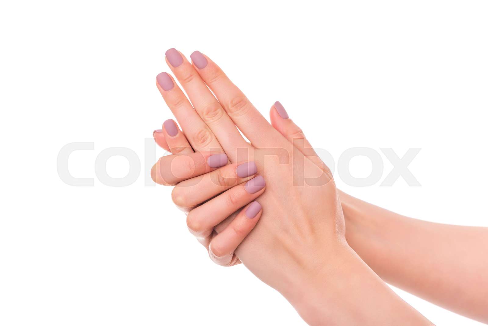 Beautiful female hands | Stock image | Colourbox