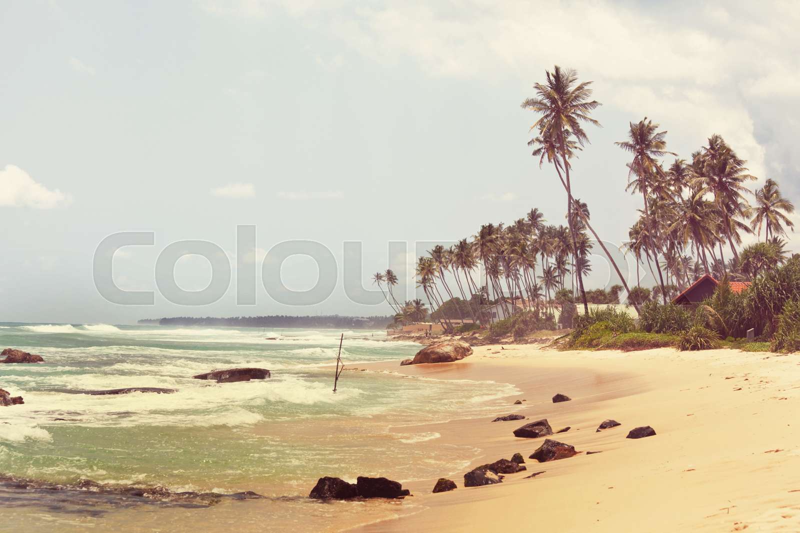 Tropical beach | Stock image | Colourbox