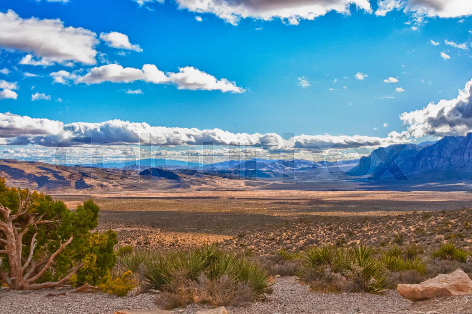 Desert landscape in Nevada, USA | Stock image | Colourbox