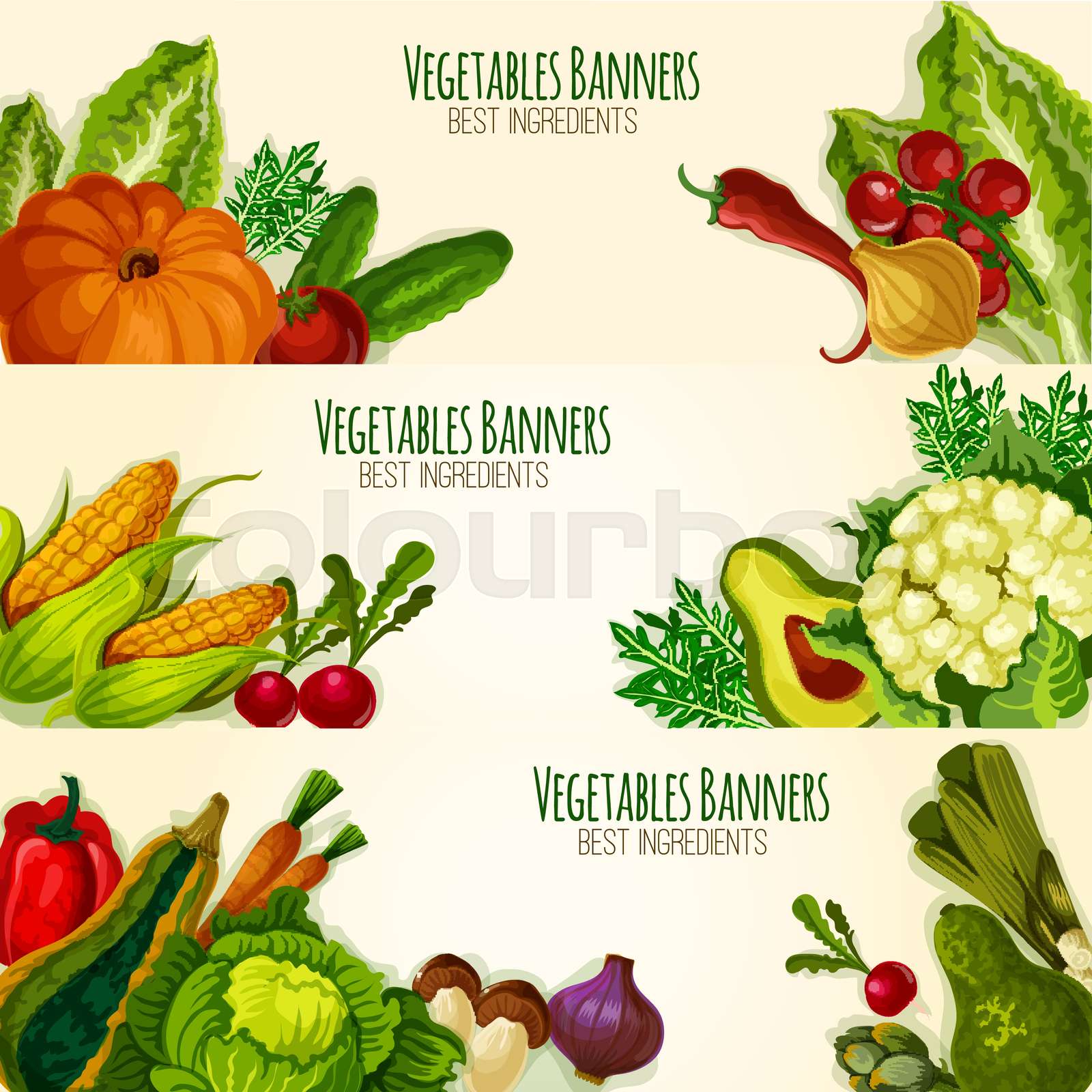 Vegetables and organic veggies vector banners set | Stock vector ...