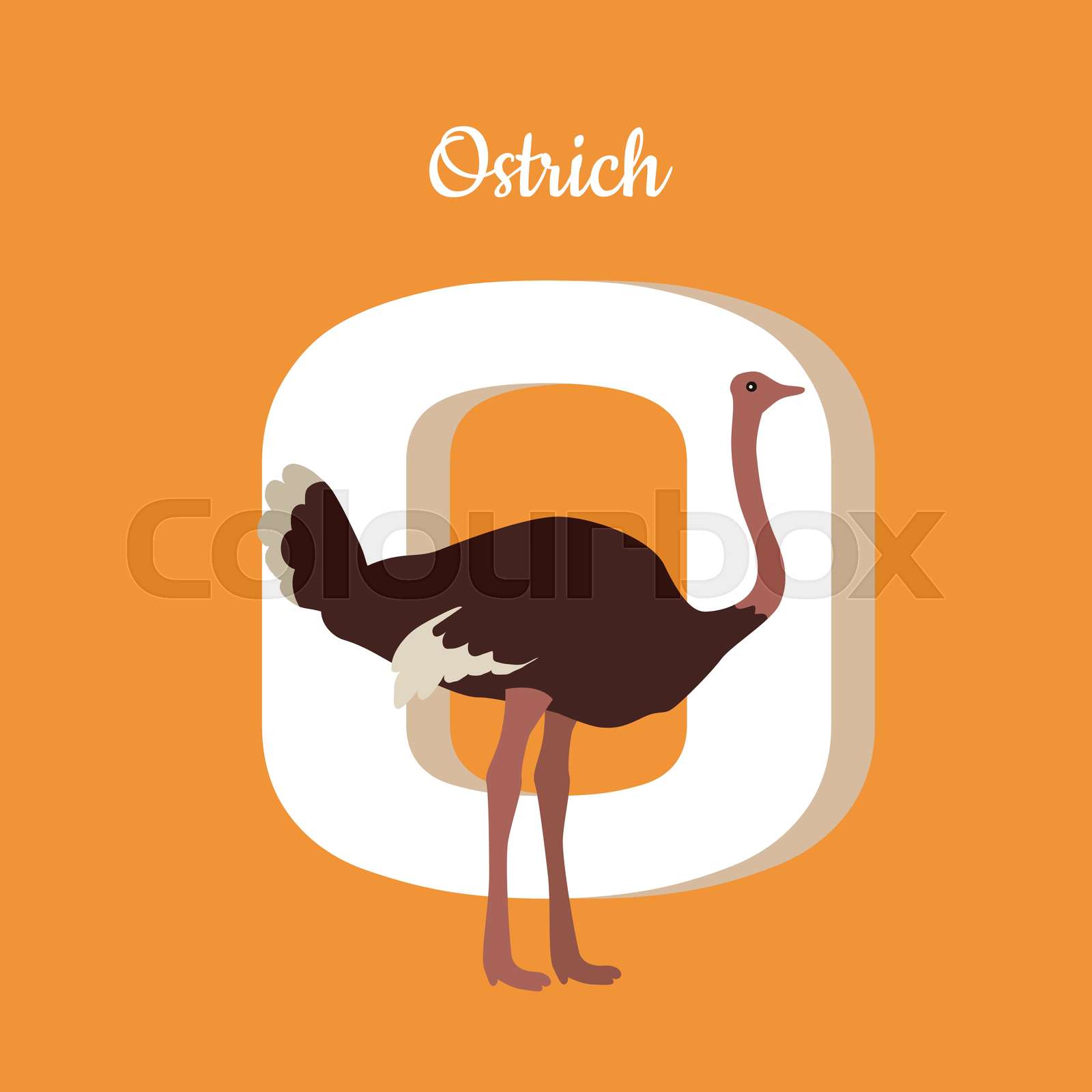 Animals Alphabet. Letter - O | Stock vector | Colourbox