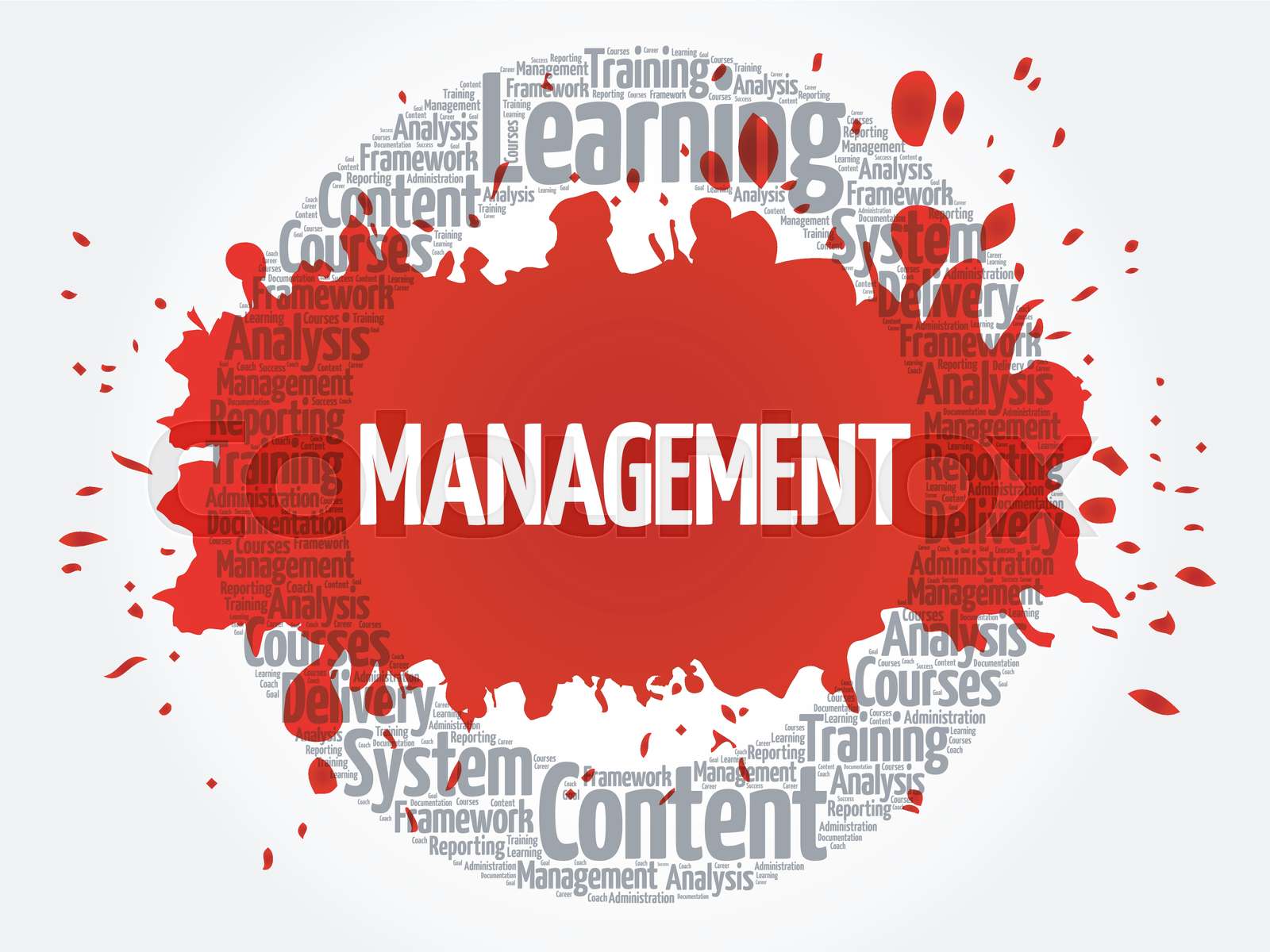 MANAGEMENT circle word cloud | Stock vector | Colourbox