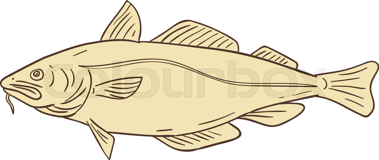 | Stock vektor | Colourbox