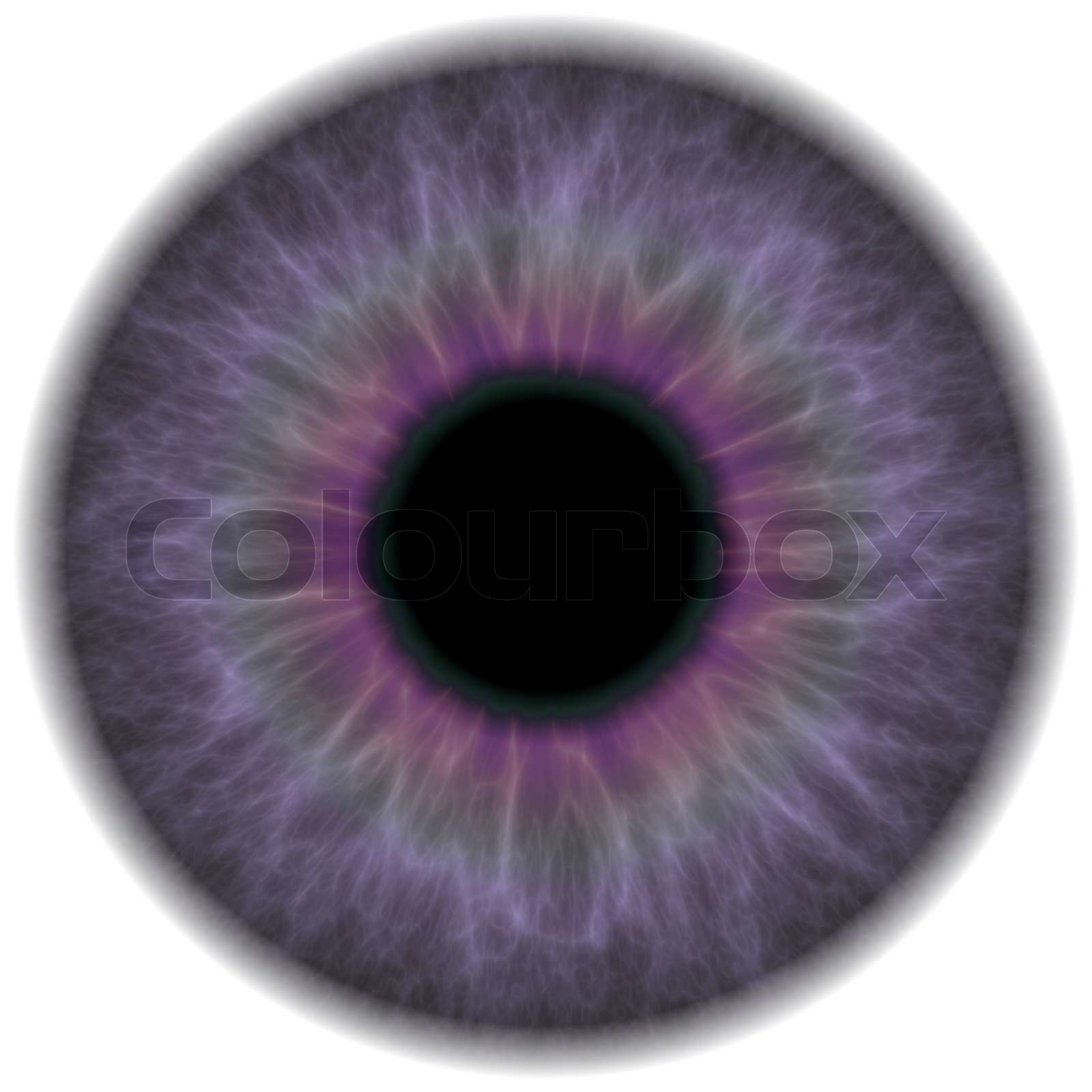 A highly detailed iris section of the human eyeThis works great for eye ...