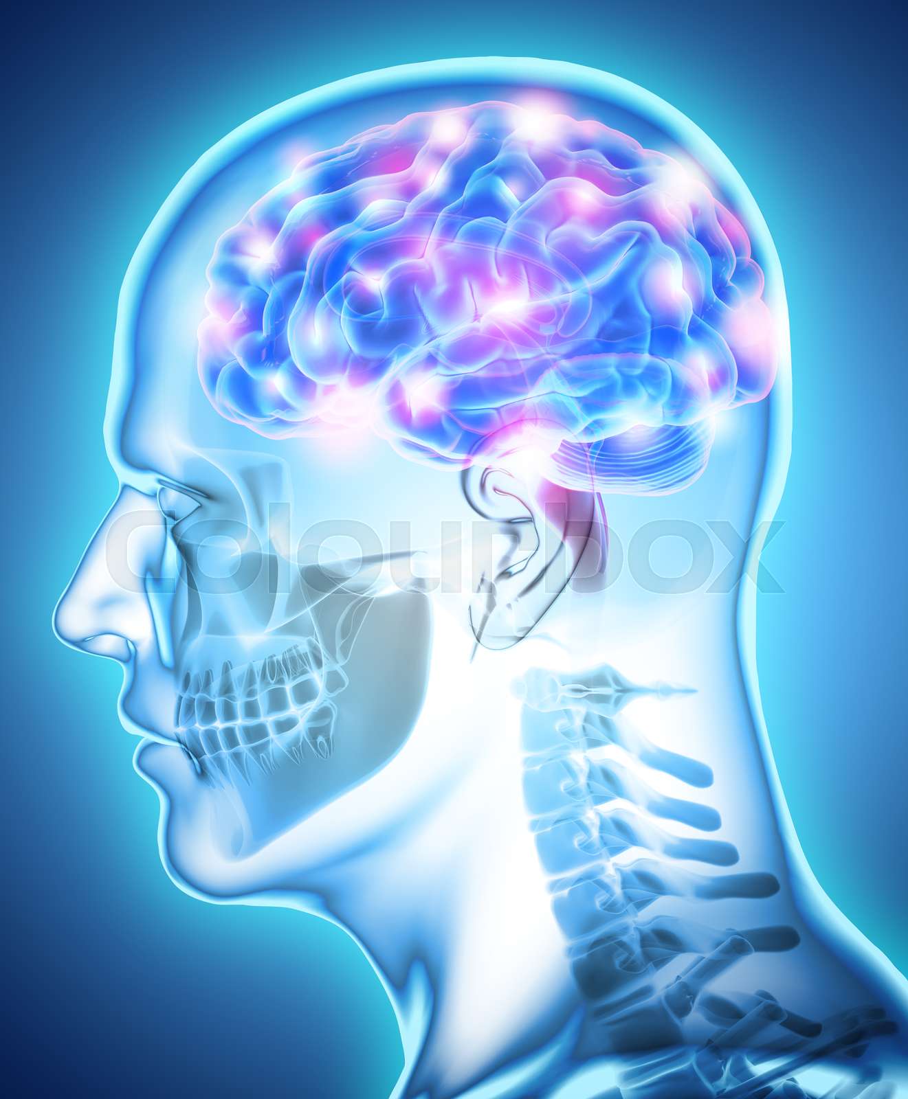 hjerne, neuroner, aktiv | Stock foto | Colourbox