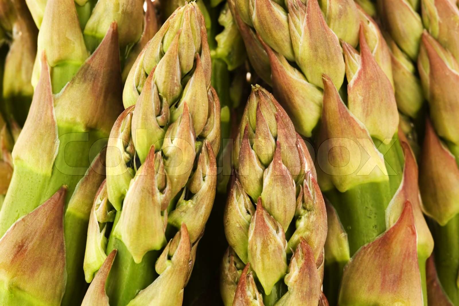 Grüner Spargel in der Spargelzeit Frisches Gemüse hat immer Saison ...