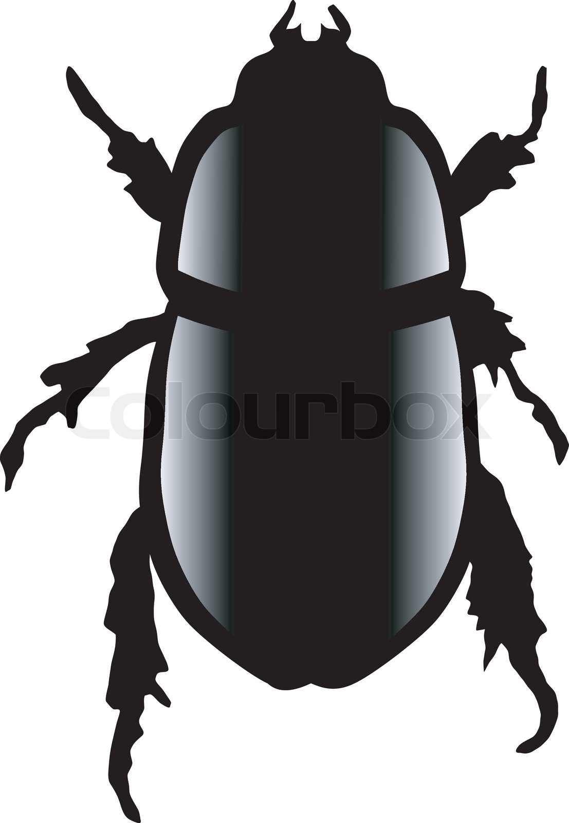 scarab beetle | Stock vector | Colourbox