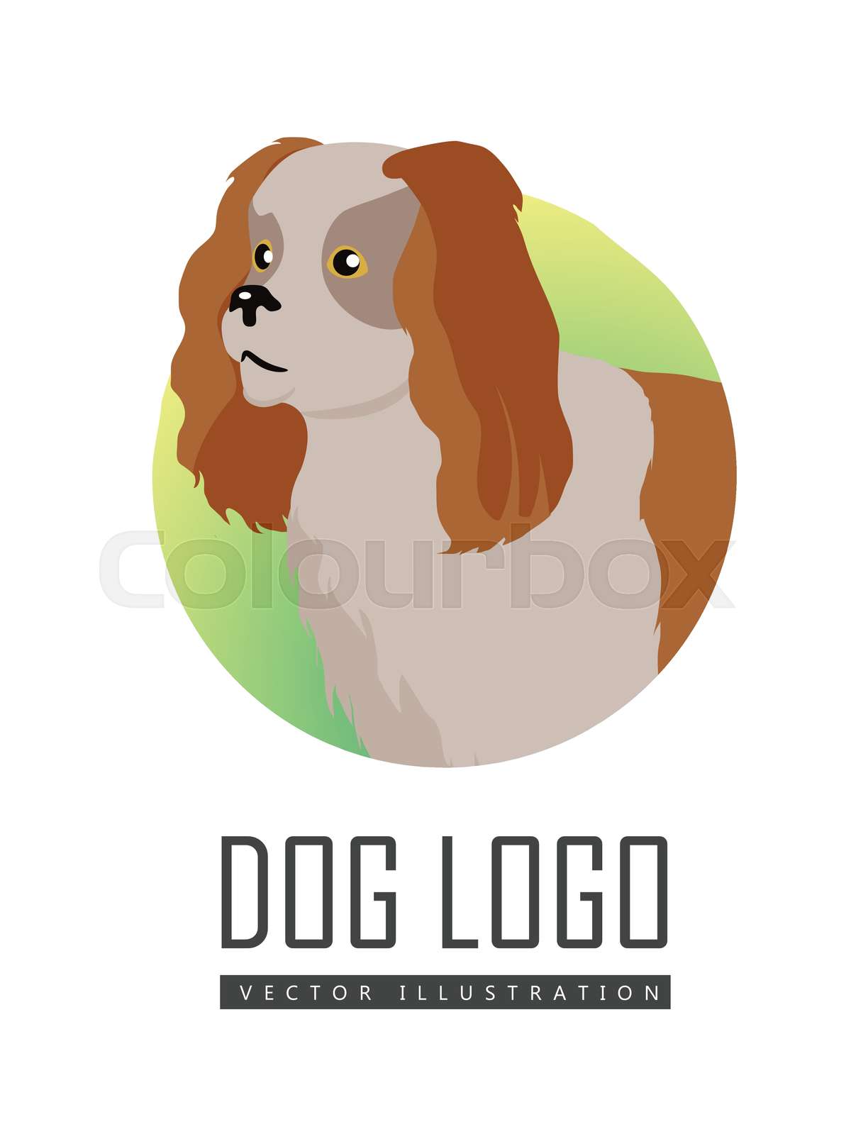 Spaniel Dog Logo on White Background | Stock vector | Colourbox