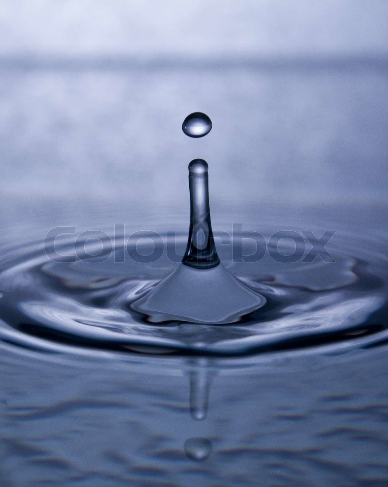 fallende Wassertropfen | Stock Bild | Colourbox