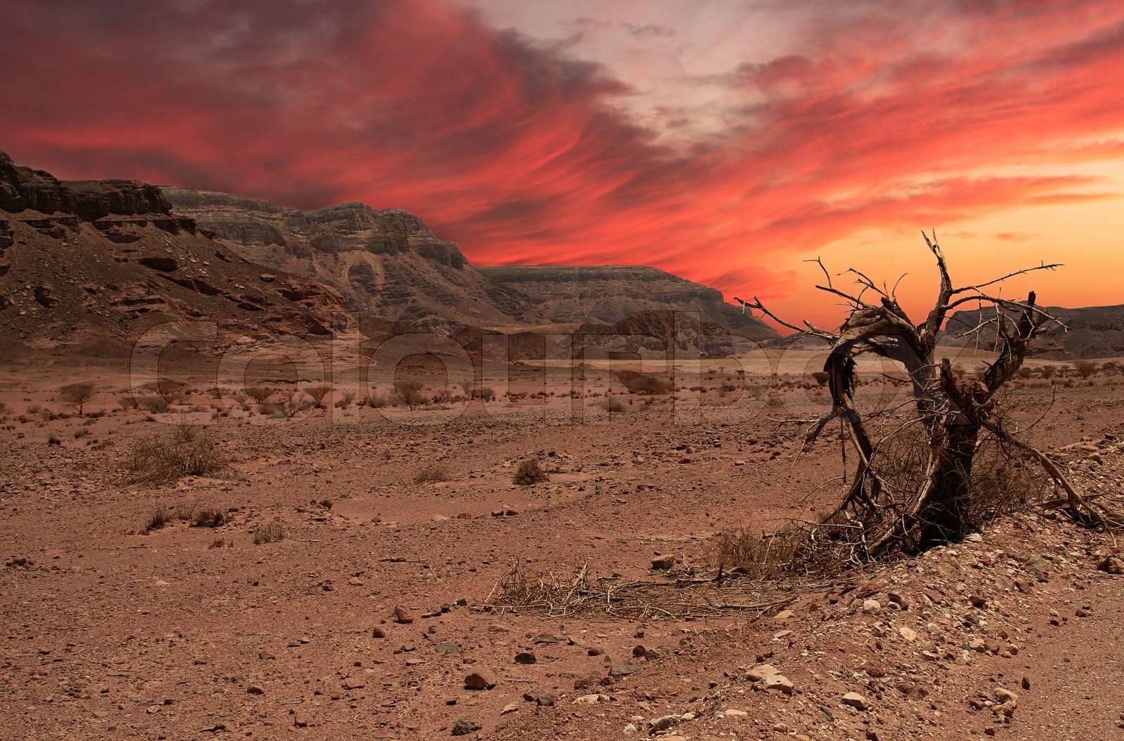 Beautiful sunset in Arava desert, Israel | Stock image | Colourbox