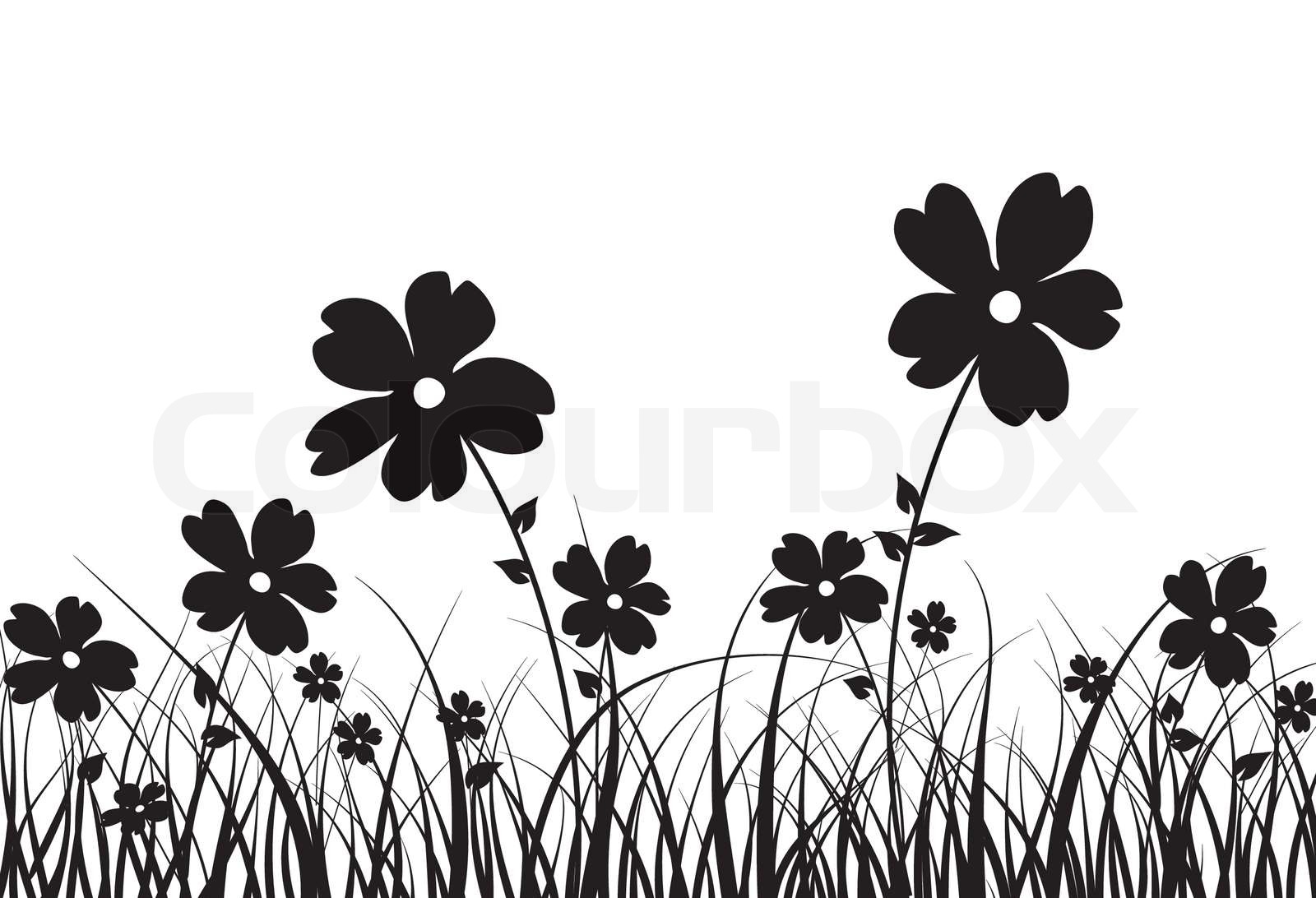 Grass and flower, vector illustration | Stock vector | Colourbox