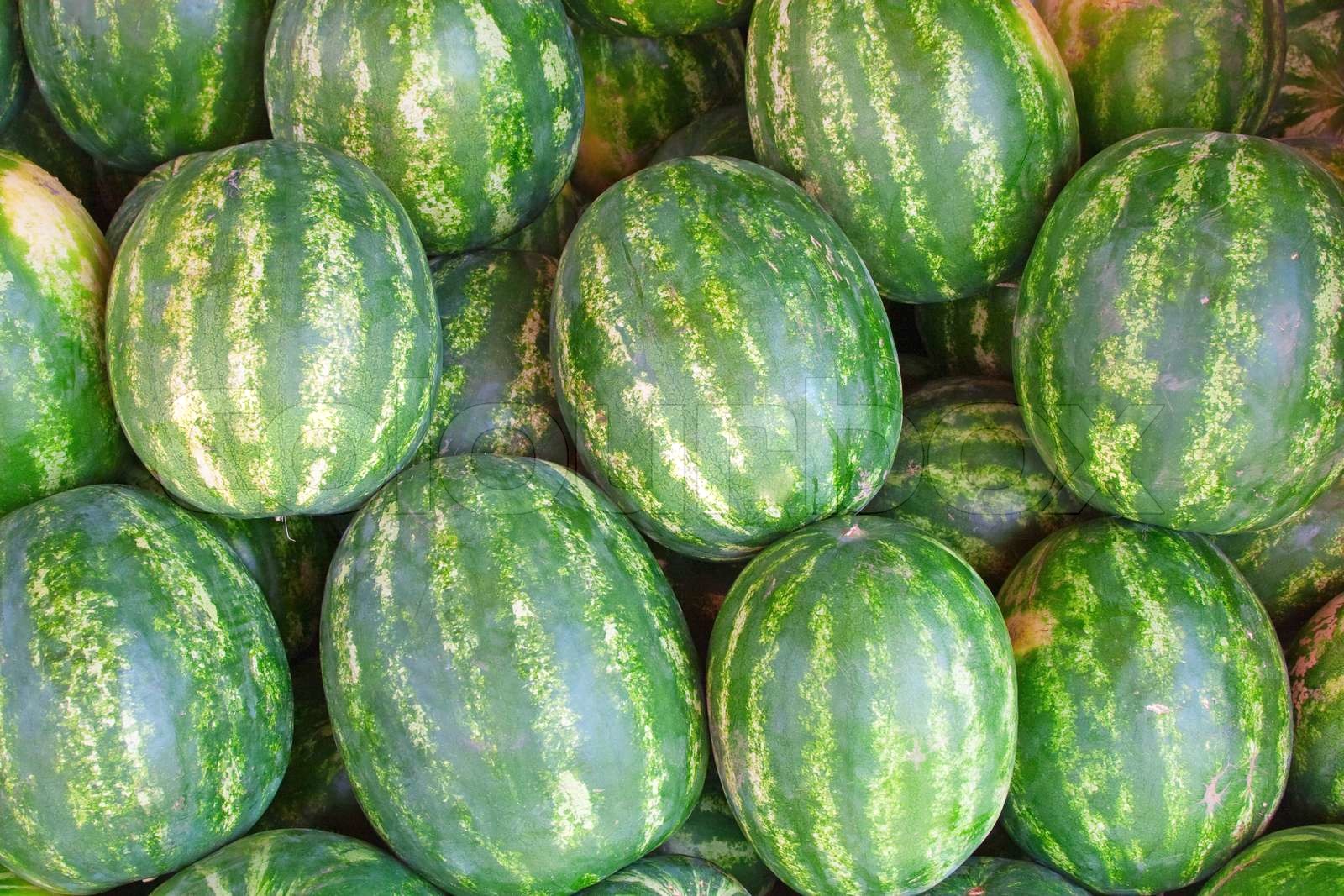 Pile of watermelons on the market | Stock image | Colourbox