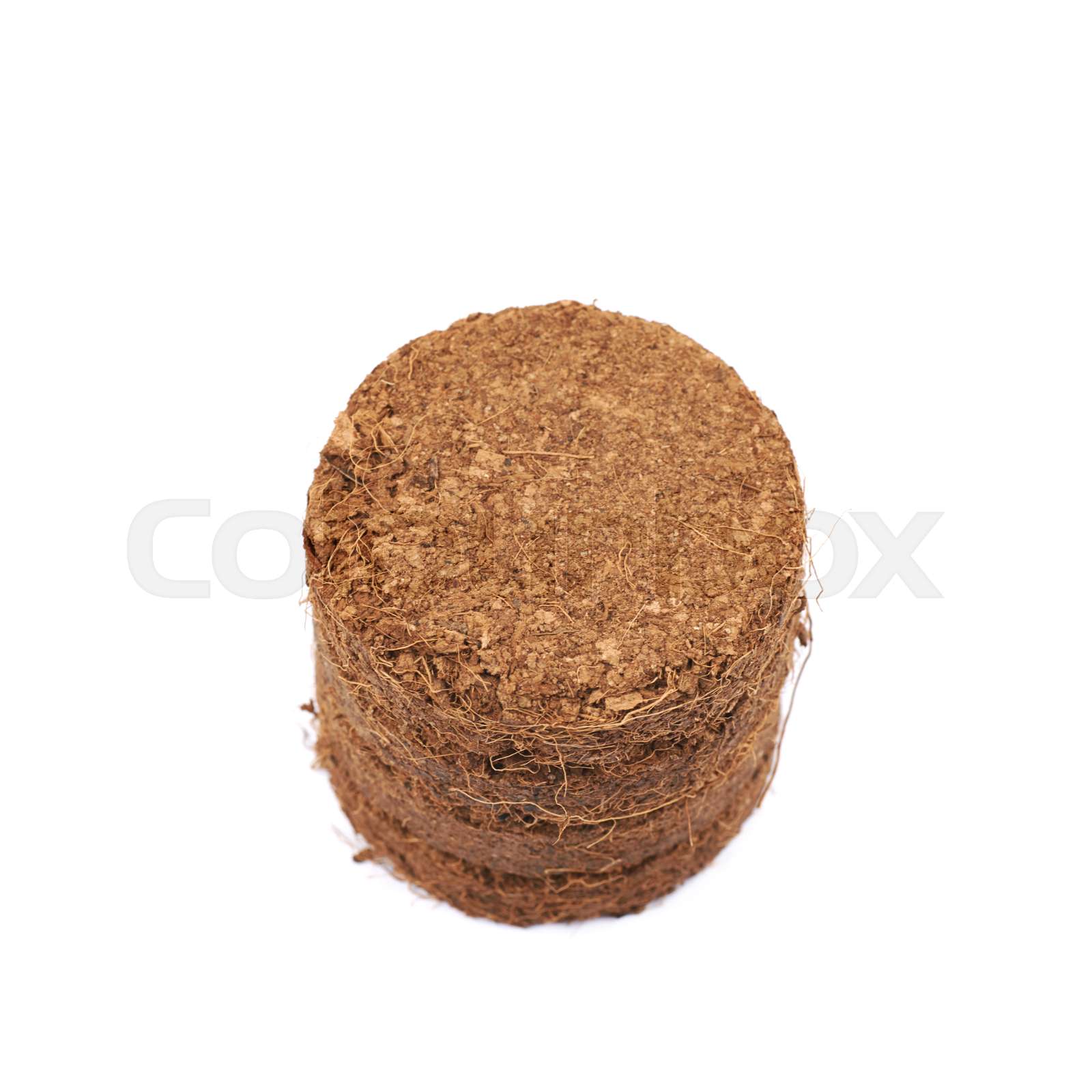 Compressed compost tablet isolated | Stock image | Colourbox